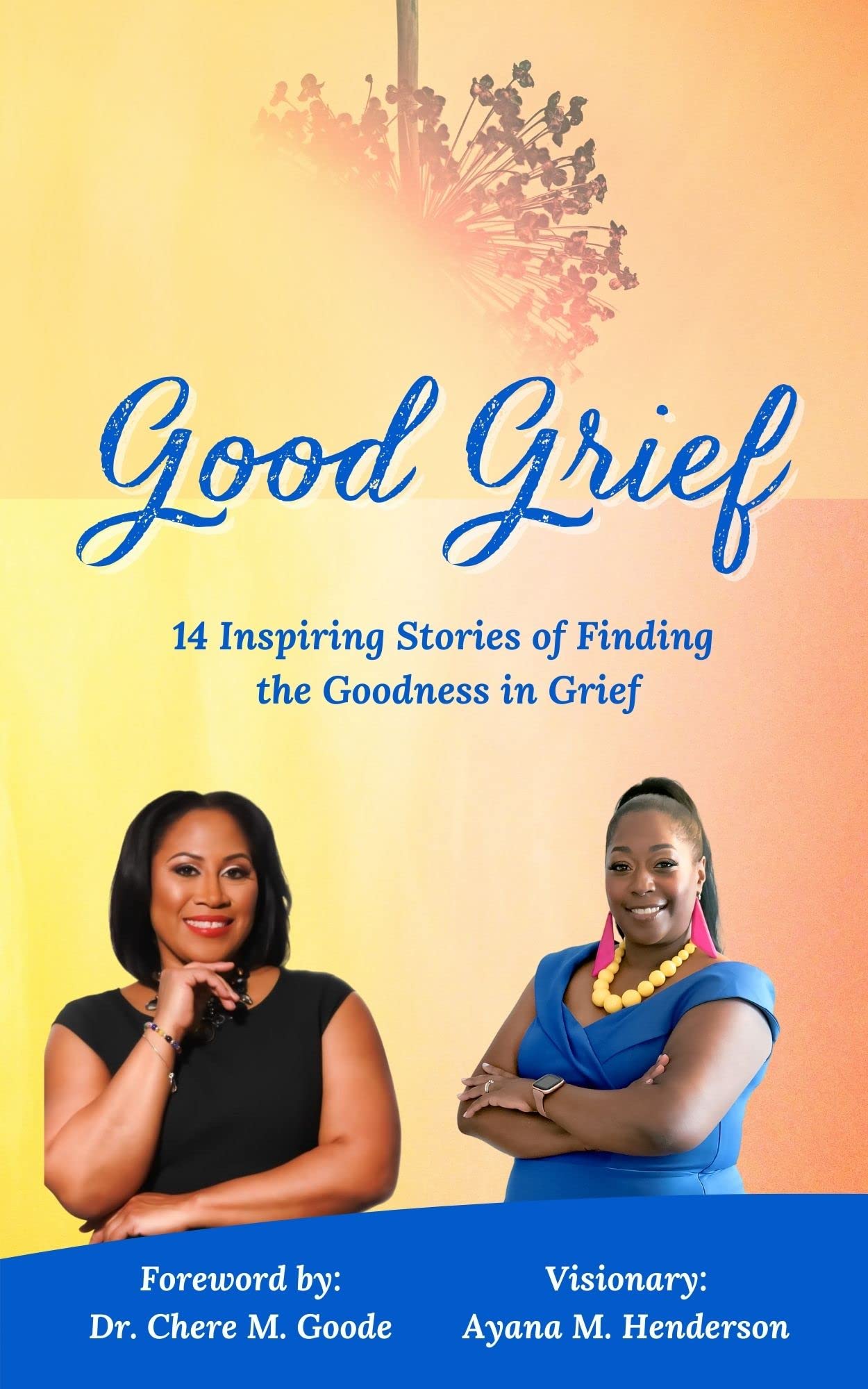 Good Grief!: 14 Inspiring Stories of Finding the Goodness in Grief by ...