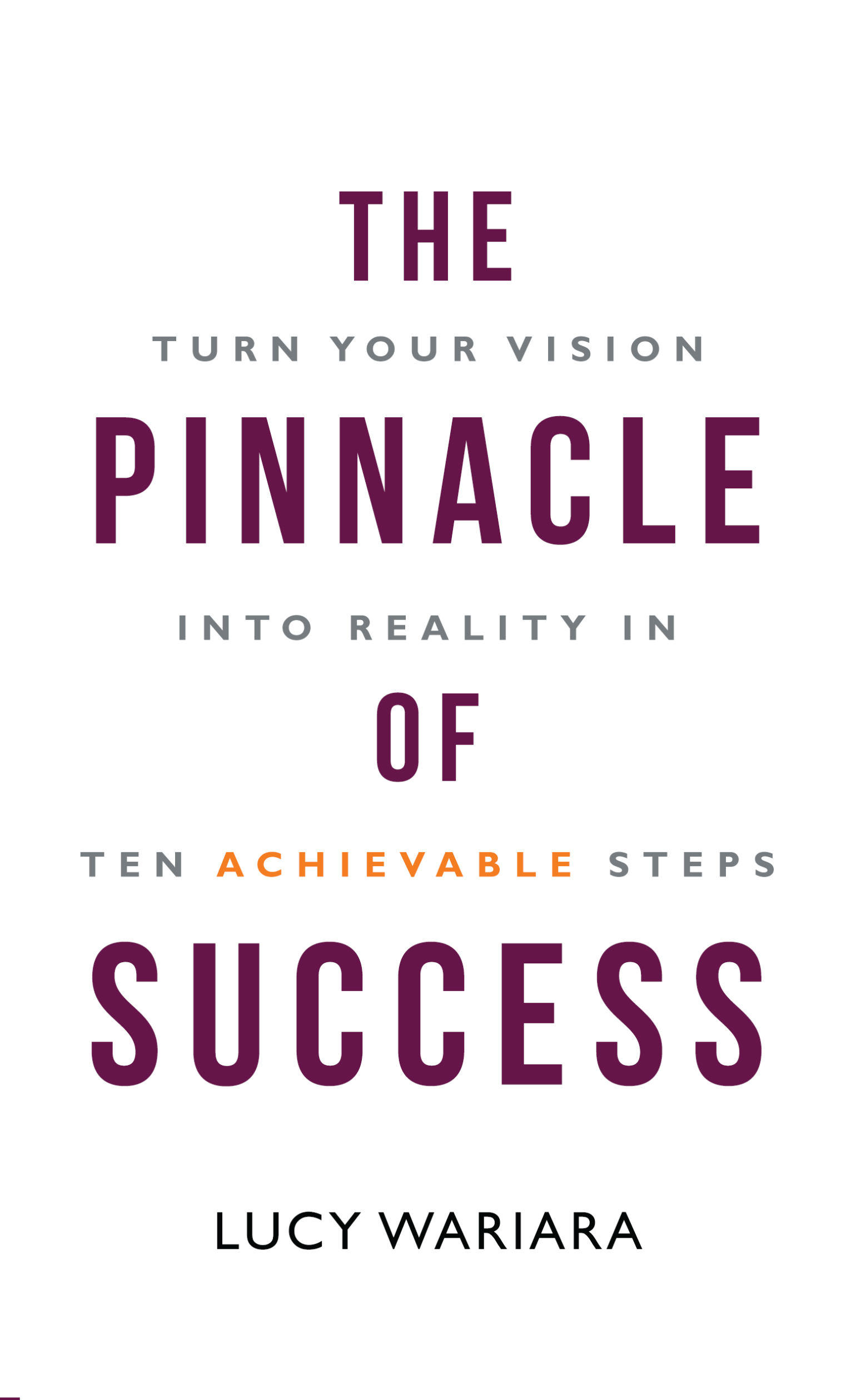The Pinnacle of Success - Turn Your Vision into Reality in Ten ...