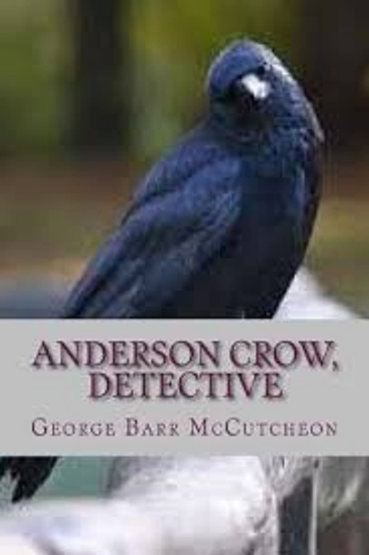 Anderson Crow, Detective annotated by George Barr McCutcheon | Goodreads