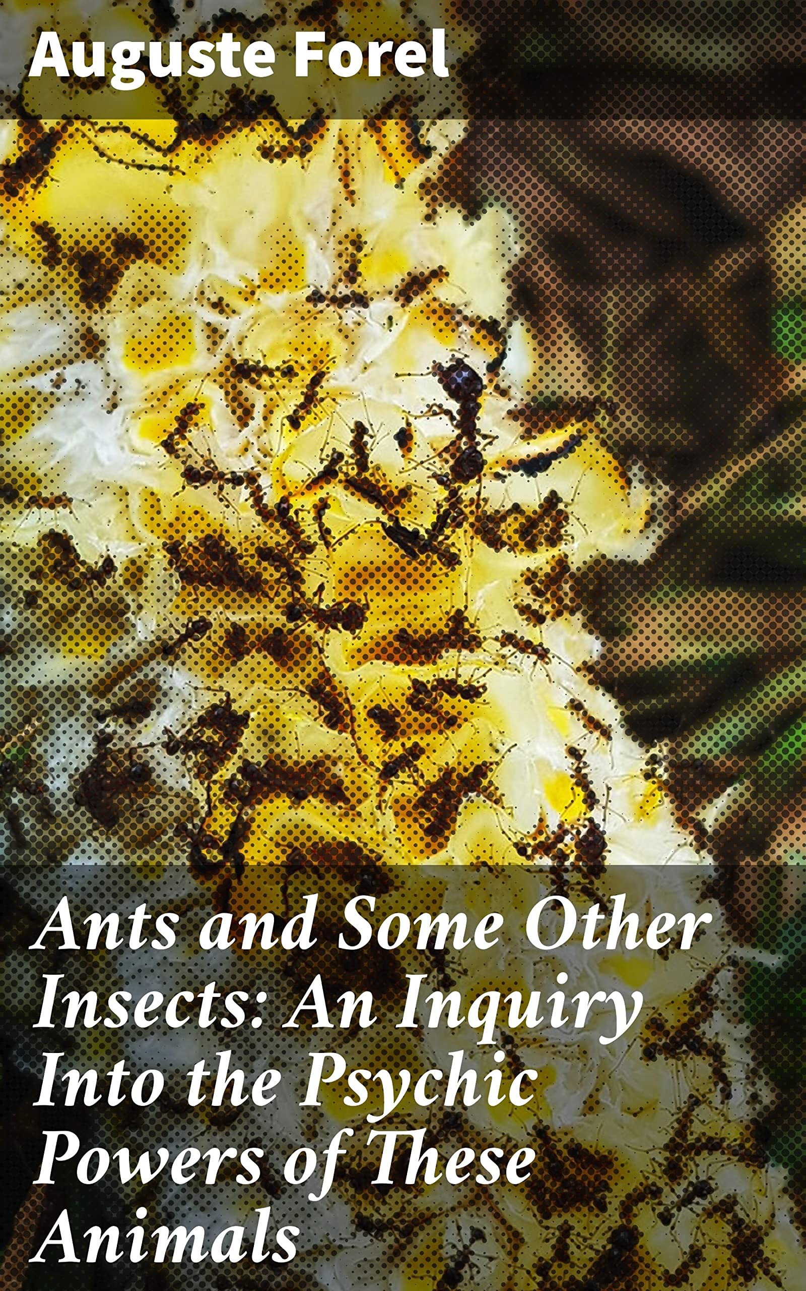 Ants and Some Other Insects: An Inquiry Into the Psychic Powers of ...