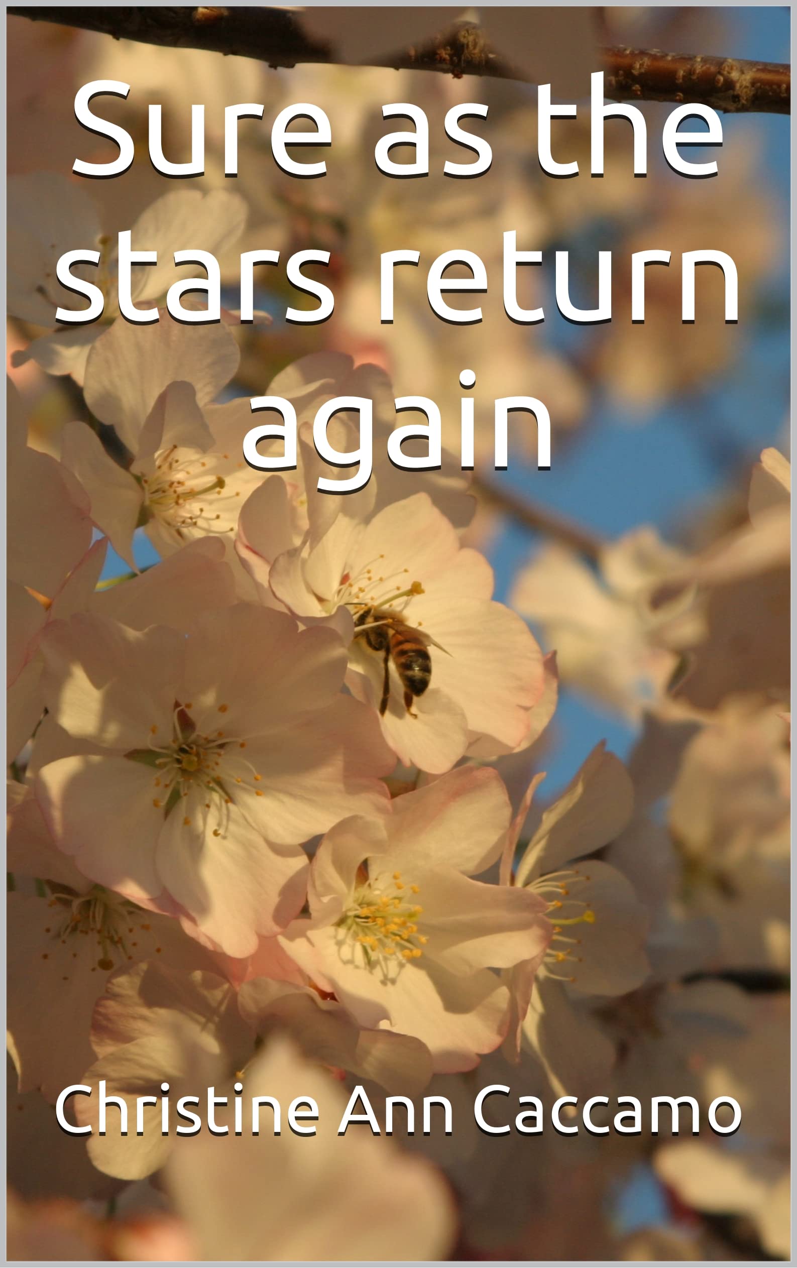 Sure as the stars return again by Christine Ann Caccamo | Goodreads