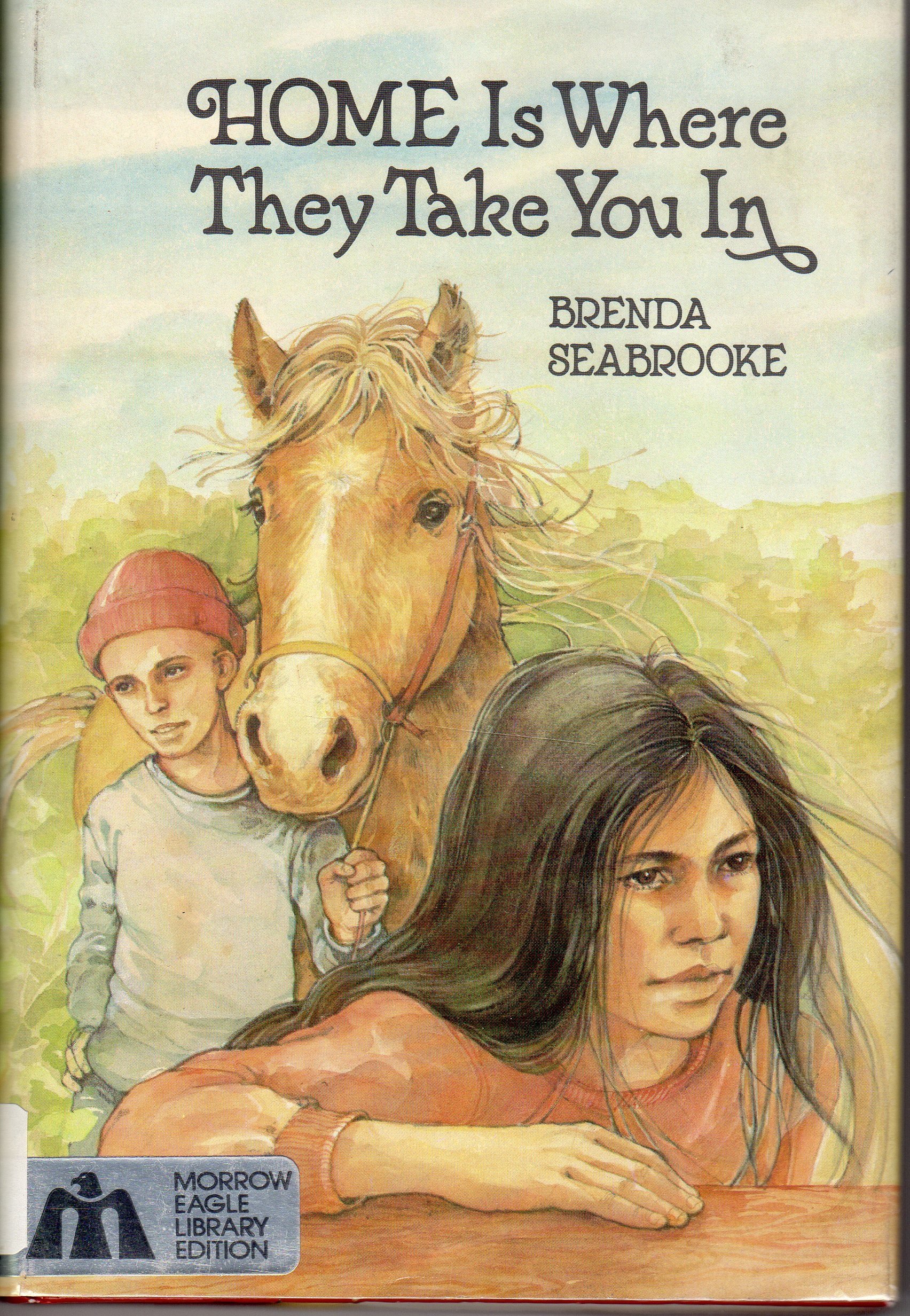Home Is Where They Take You In by Brenda Seabrooke | Goodreads
