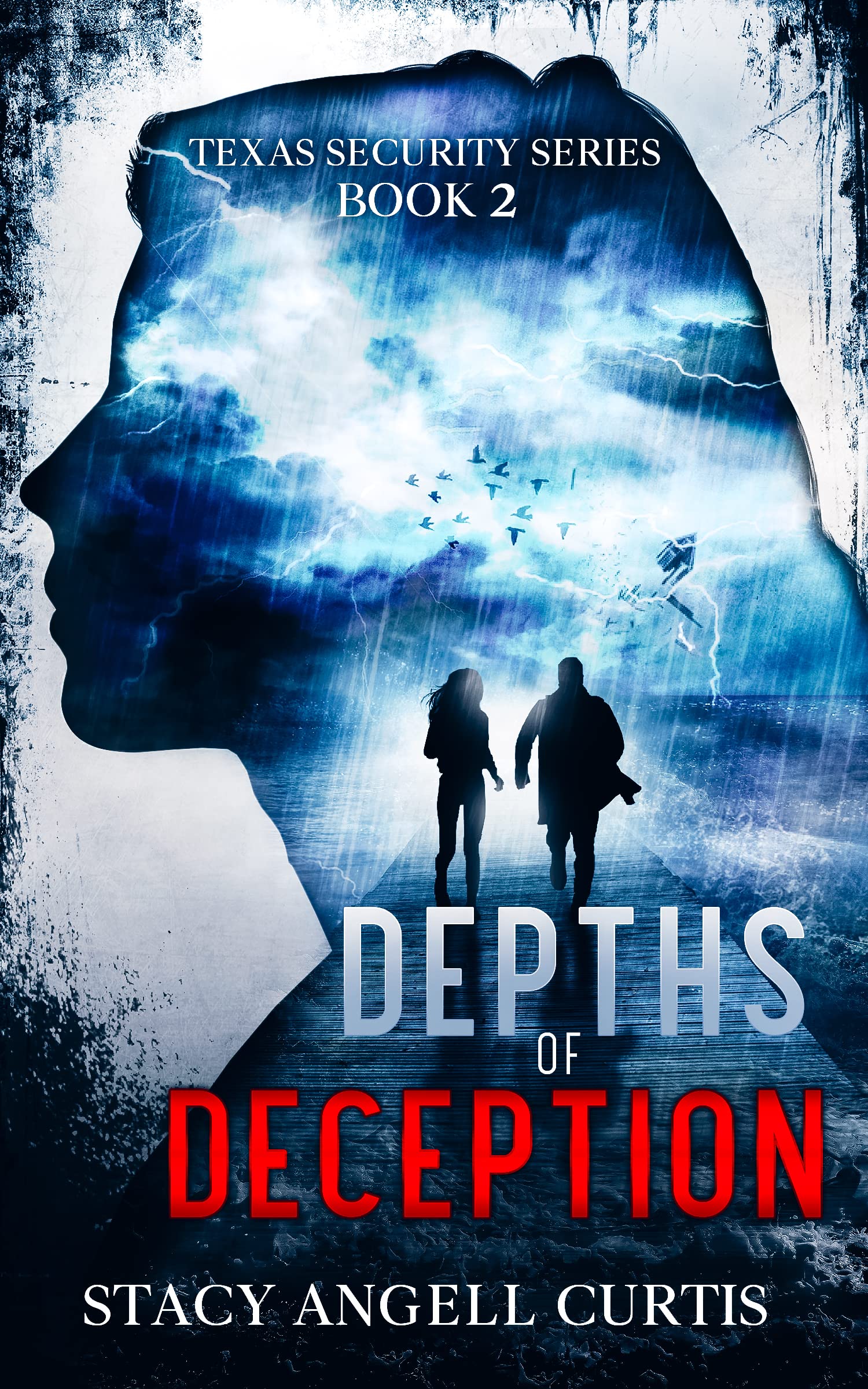 Depths of Deception: Christian Romantic Suspense by Stacy Angell Curtis ...