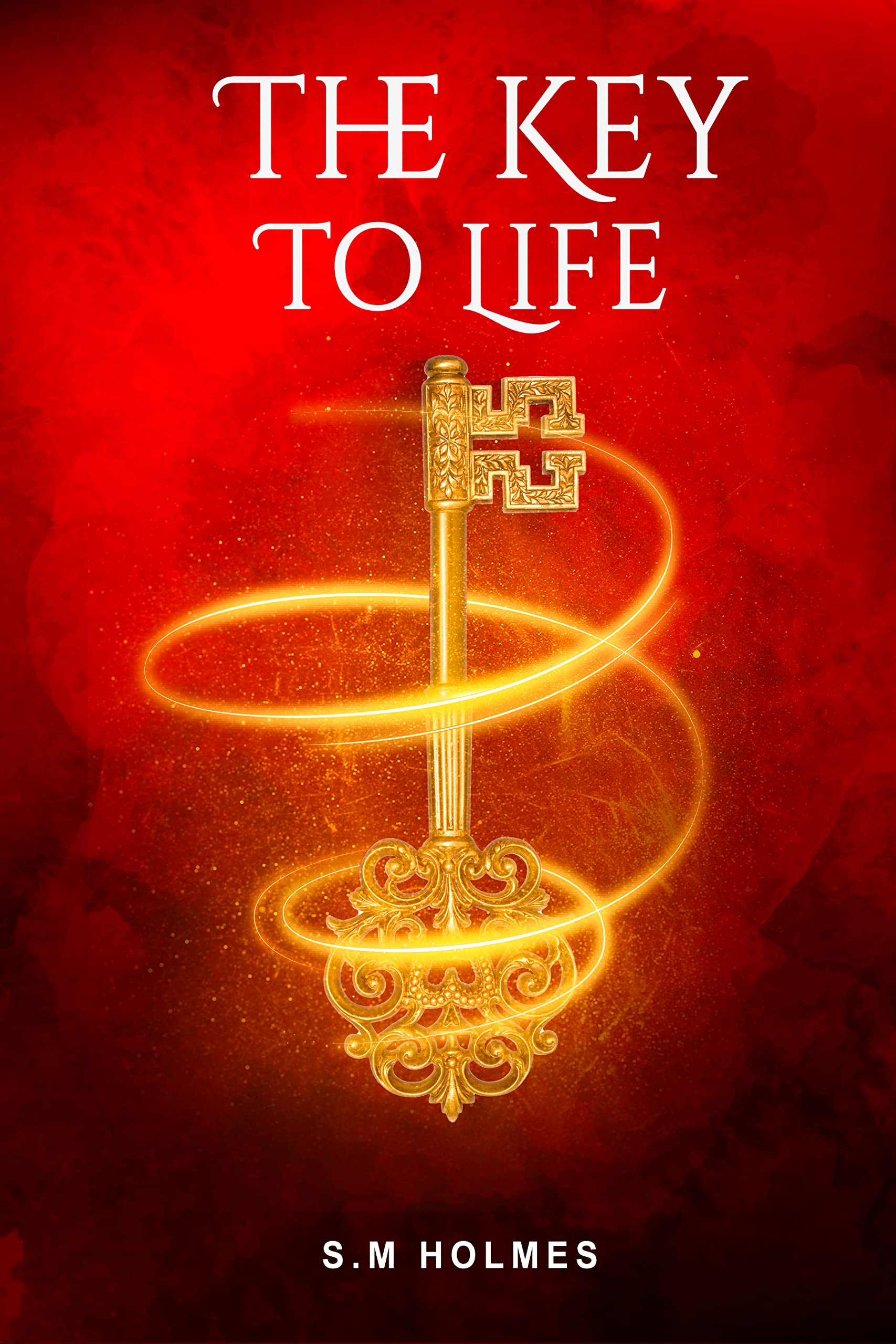 The Key To Life by S M Holmes | Goodreads