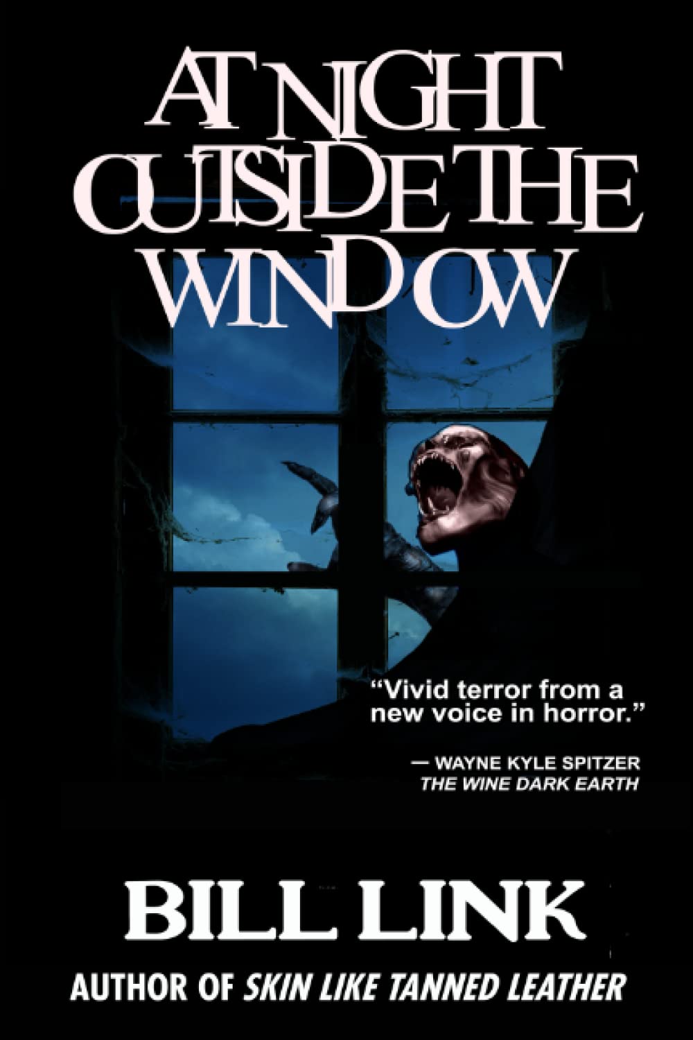 At Night Outside the Window by Bill Link | Goodreads