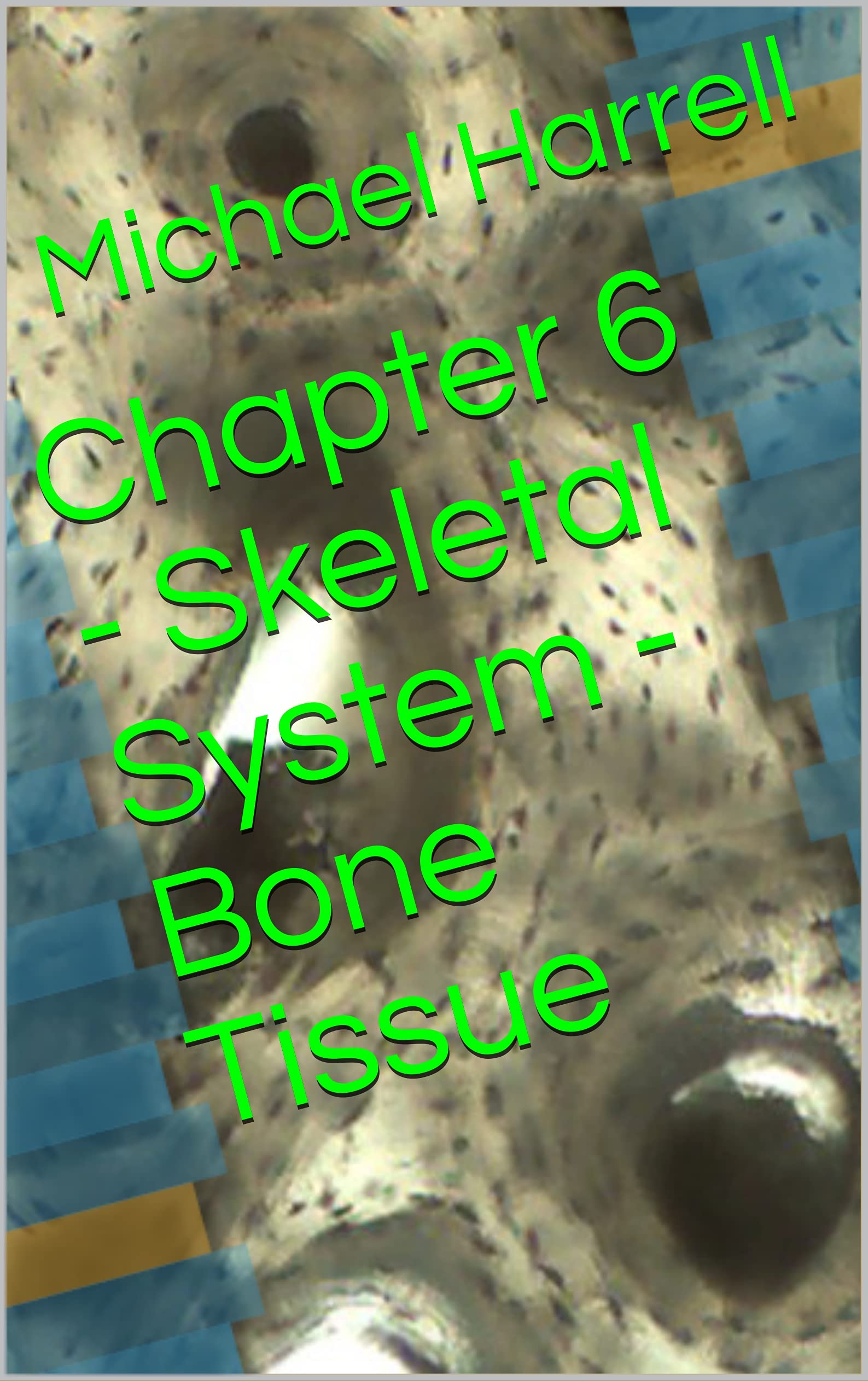 Chapter 6 - Skeletal System - Bone Tissue by Michael Harrell | Goodreads