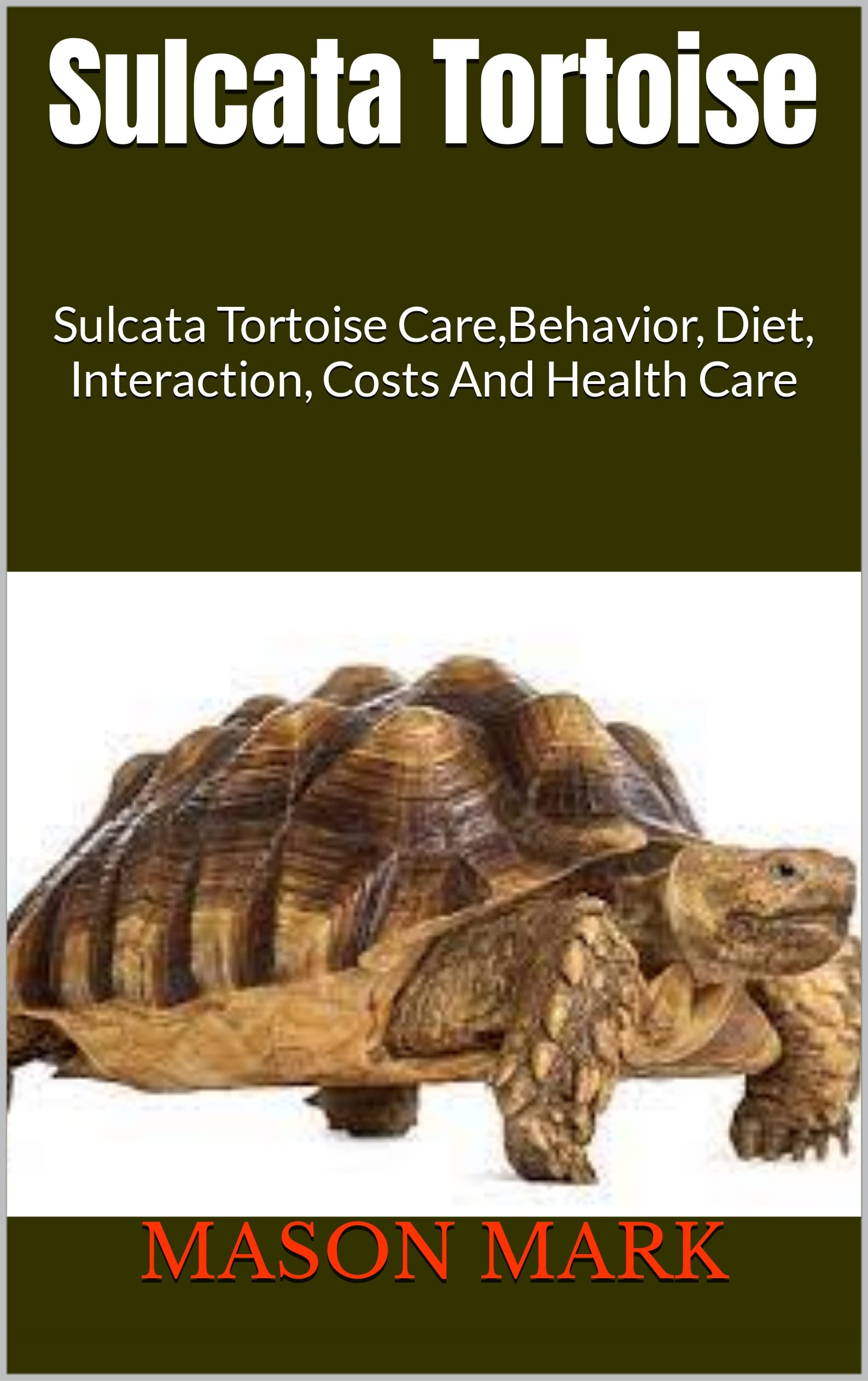Sulcata Tortoise : Sulcata Tortoise Care,Behavior, Diet, Interaction ...