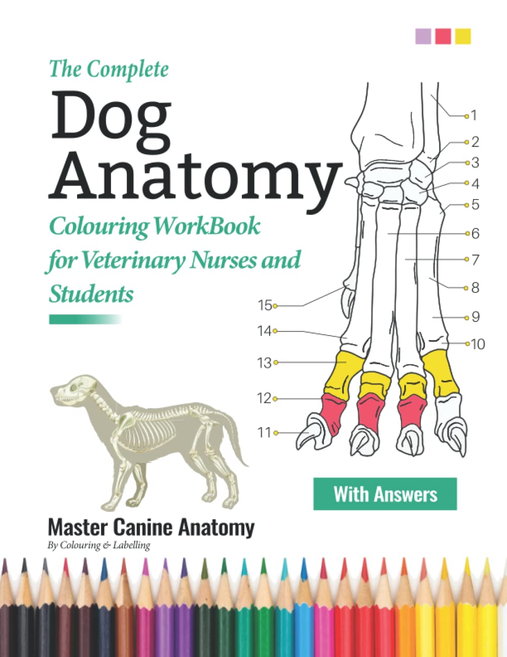 The Complete Dog Anatomy Colouring WorkBook For Veterinary Nurses and ...