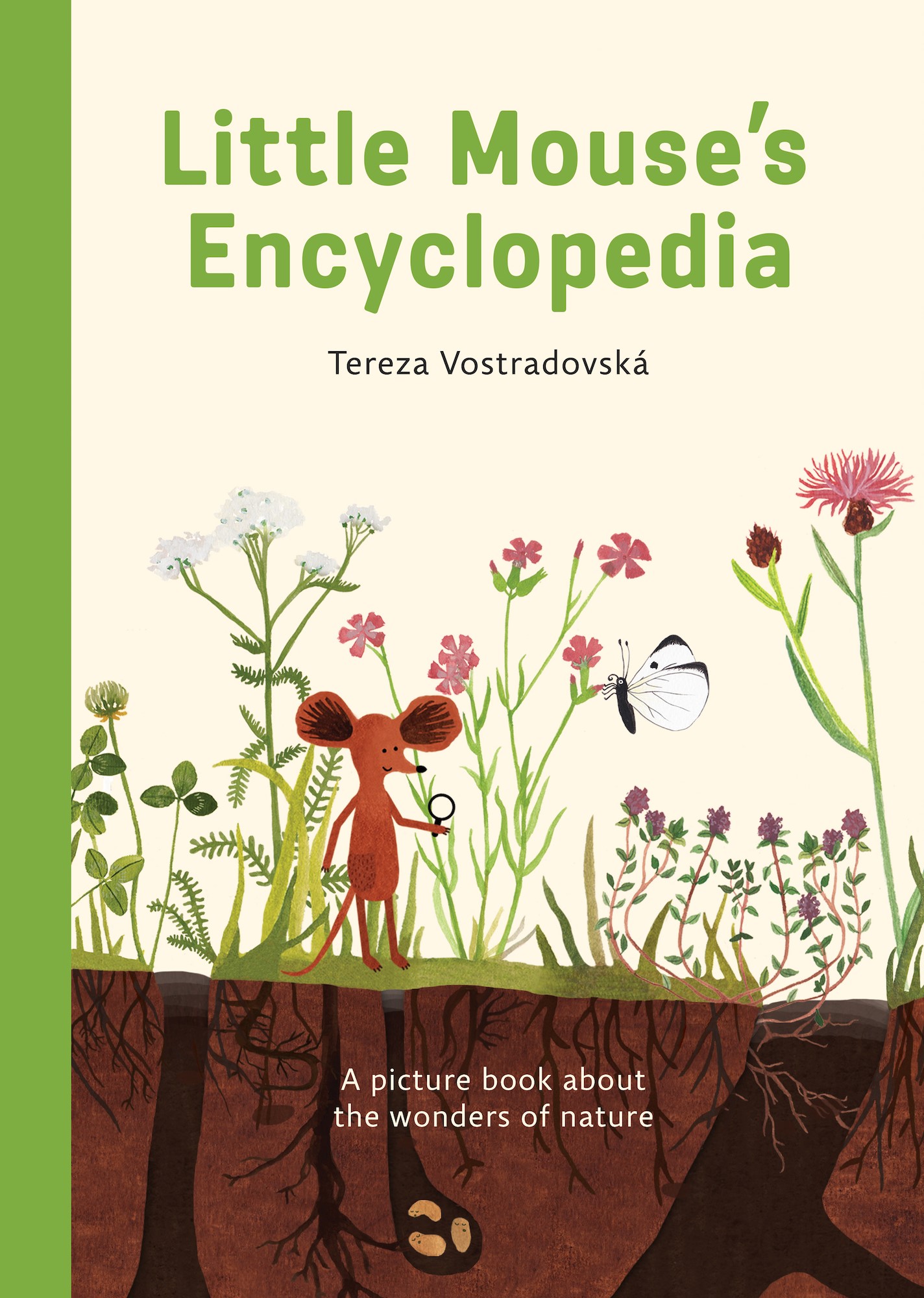 Little Mouse's Encyclopedia: A Picture Book about the Wonders of Nature ...