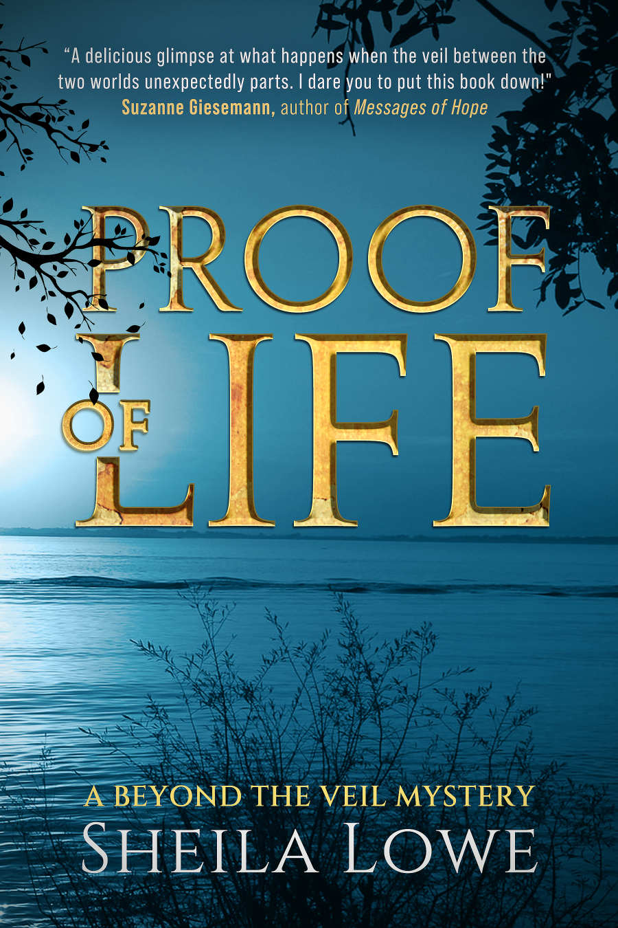 Proof of Life (Beyond the Veil #2) by Sheila Lowe | Goodreads