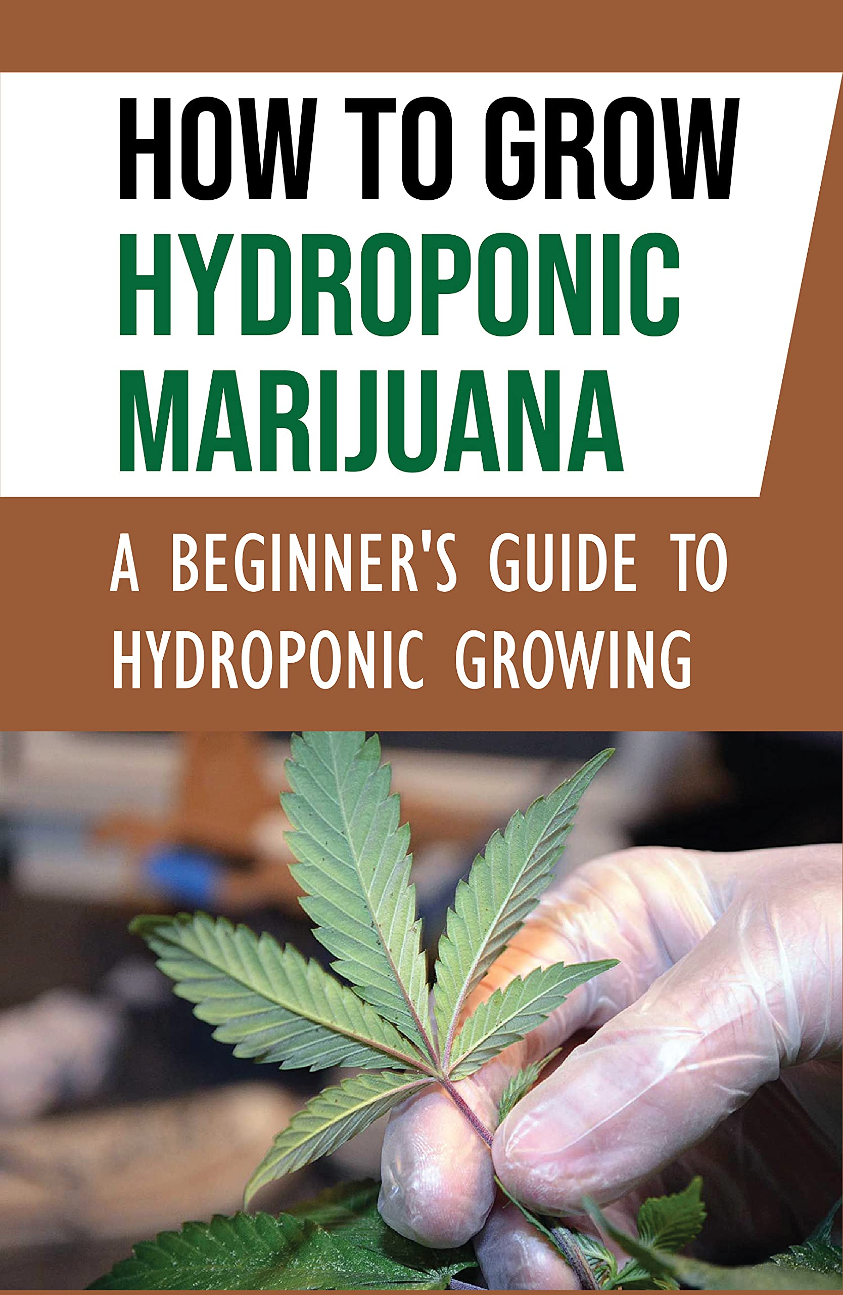 How To Grow Hydroponic Marijuana: A Beginner's Guide To Hydroponic Growing: Active Hydroponic ...