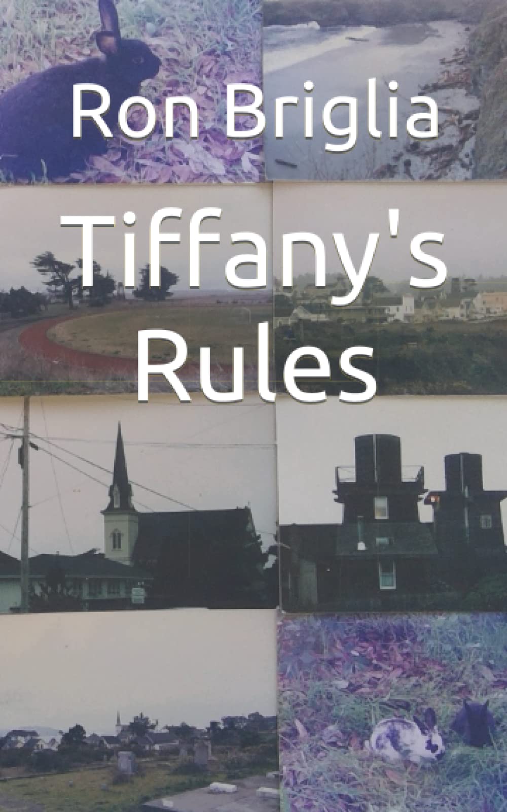 Tiffany's Rules by Ron Briglia | Goodreads