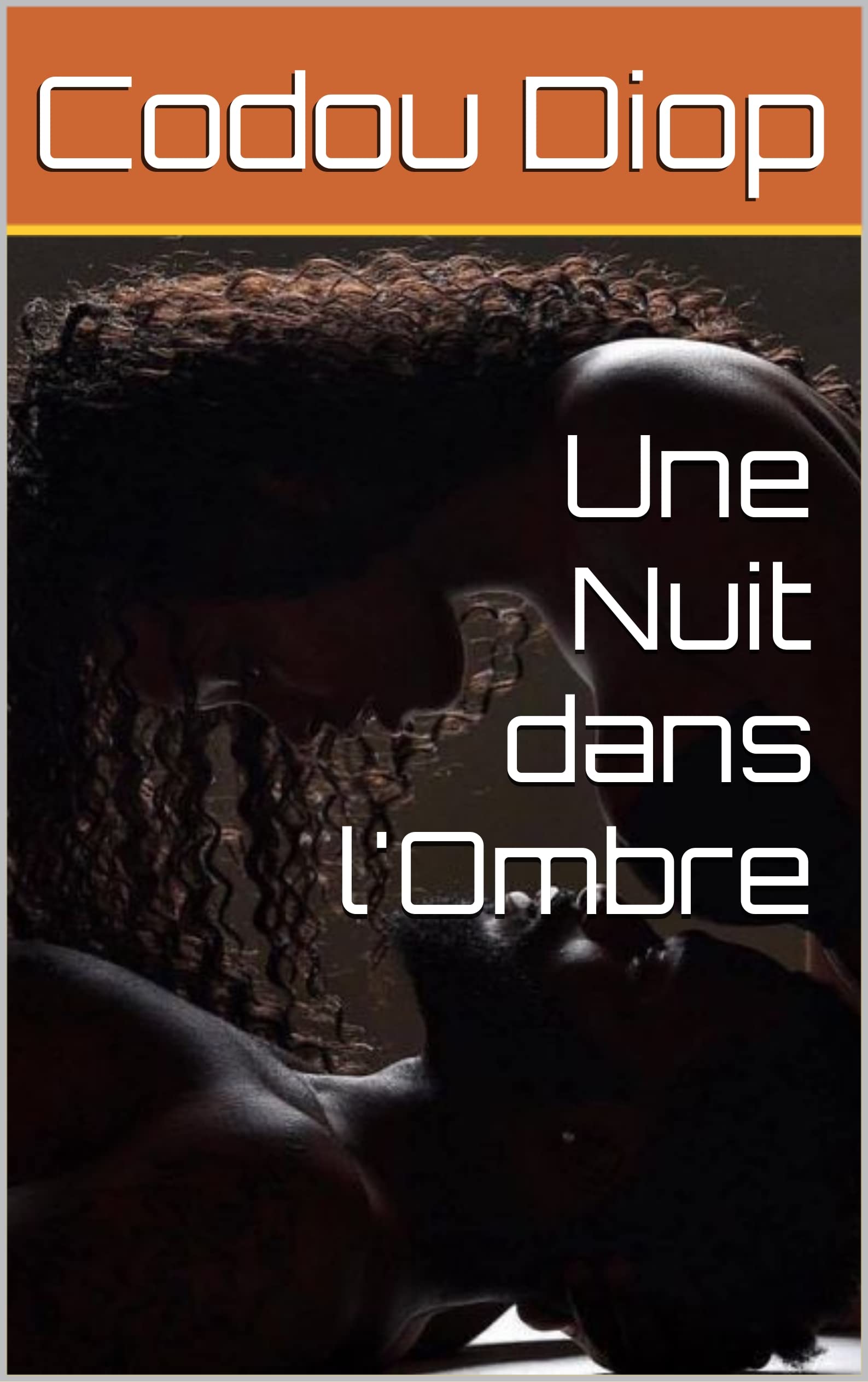 Une Nuit dans l'Ombre (French Edition) by Codou Diop | Goodreads