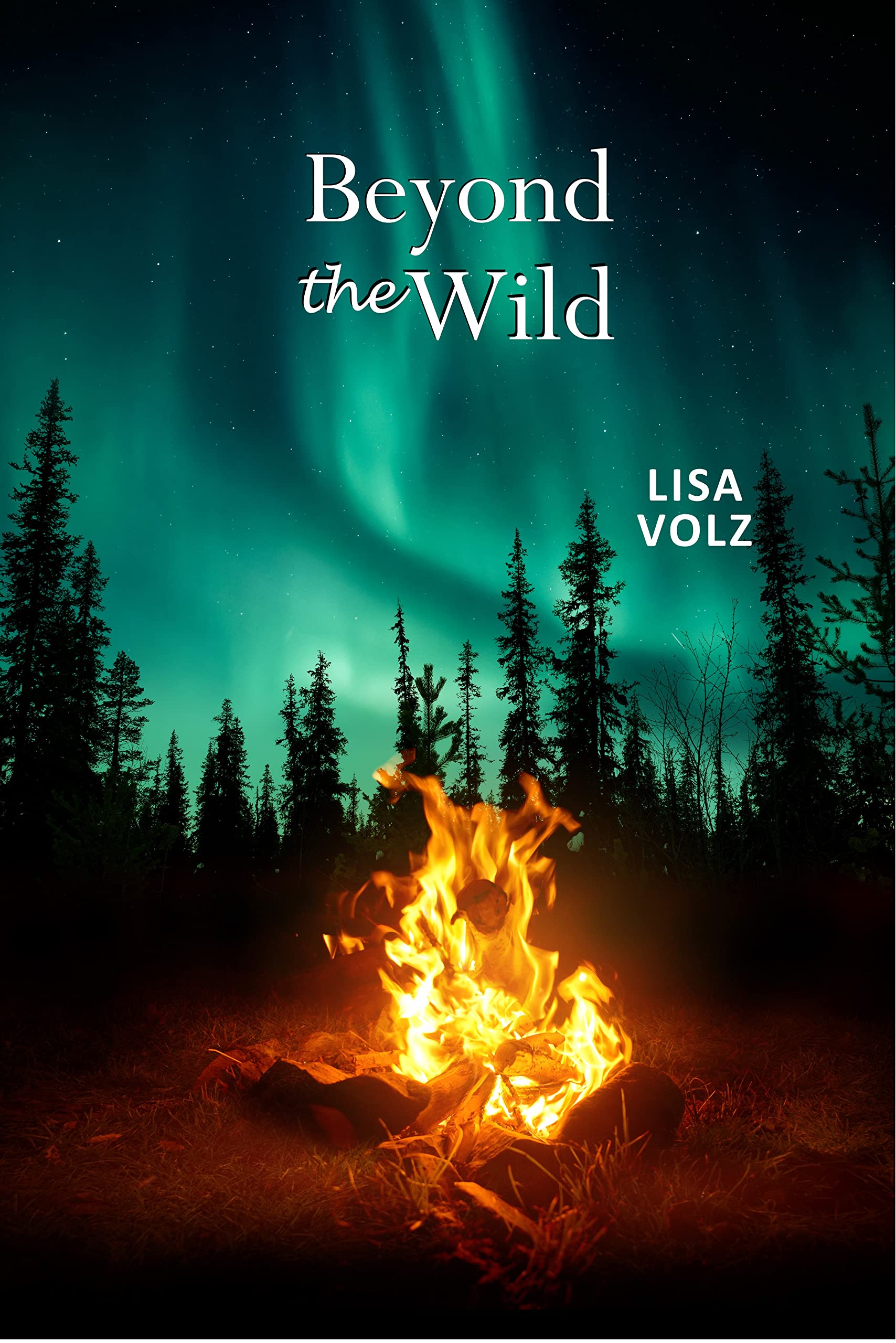 Beyond the Wild by Lisa Volz | Goodreads