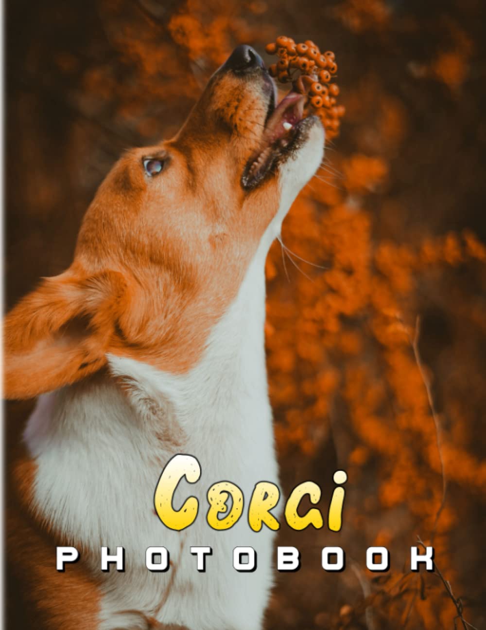 Corgi Photobook: Impressive And Attractive with Cute Emotion to Decor ...
