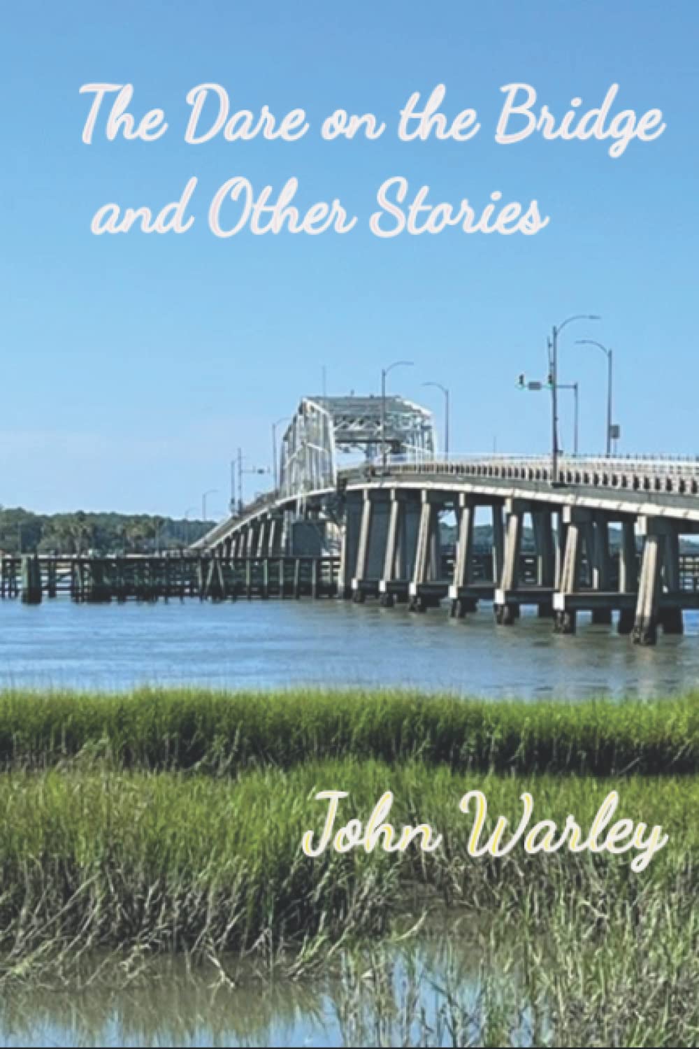 The Dare on the Bridge and other Stories by John Warley | Goodreads