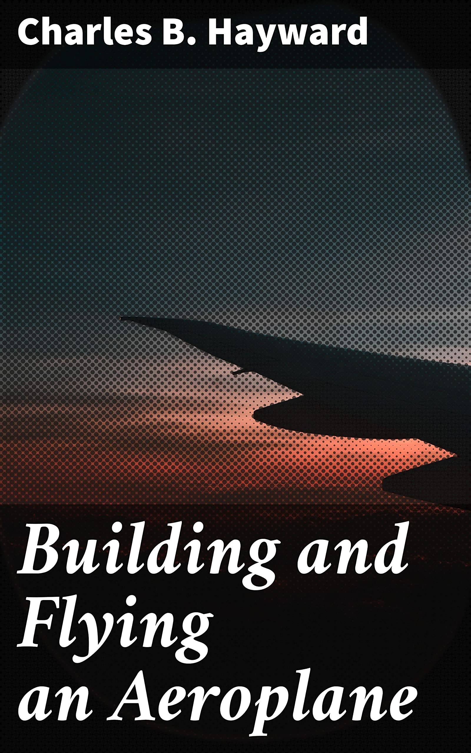 Building and Flying an Aeroplane: A practical handbook covering the ...