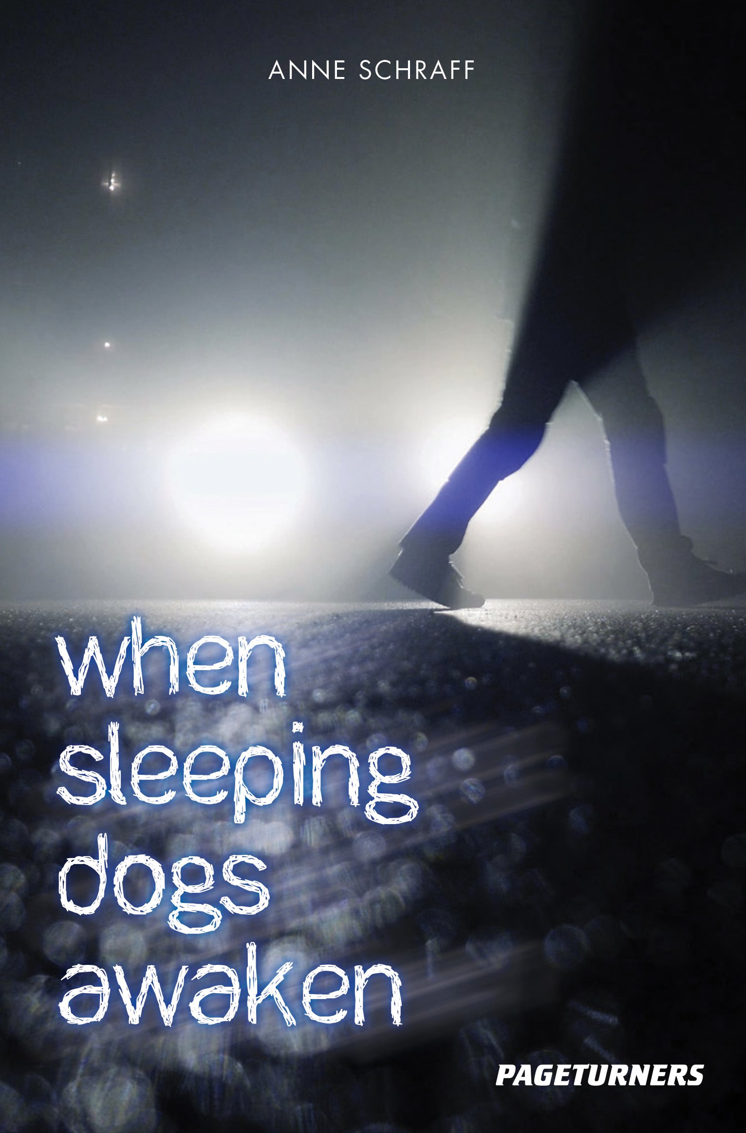 When Sleeping Dogs Awaken (Mystery) (Pageturners) by Anne E. Schraff ...