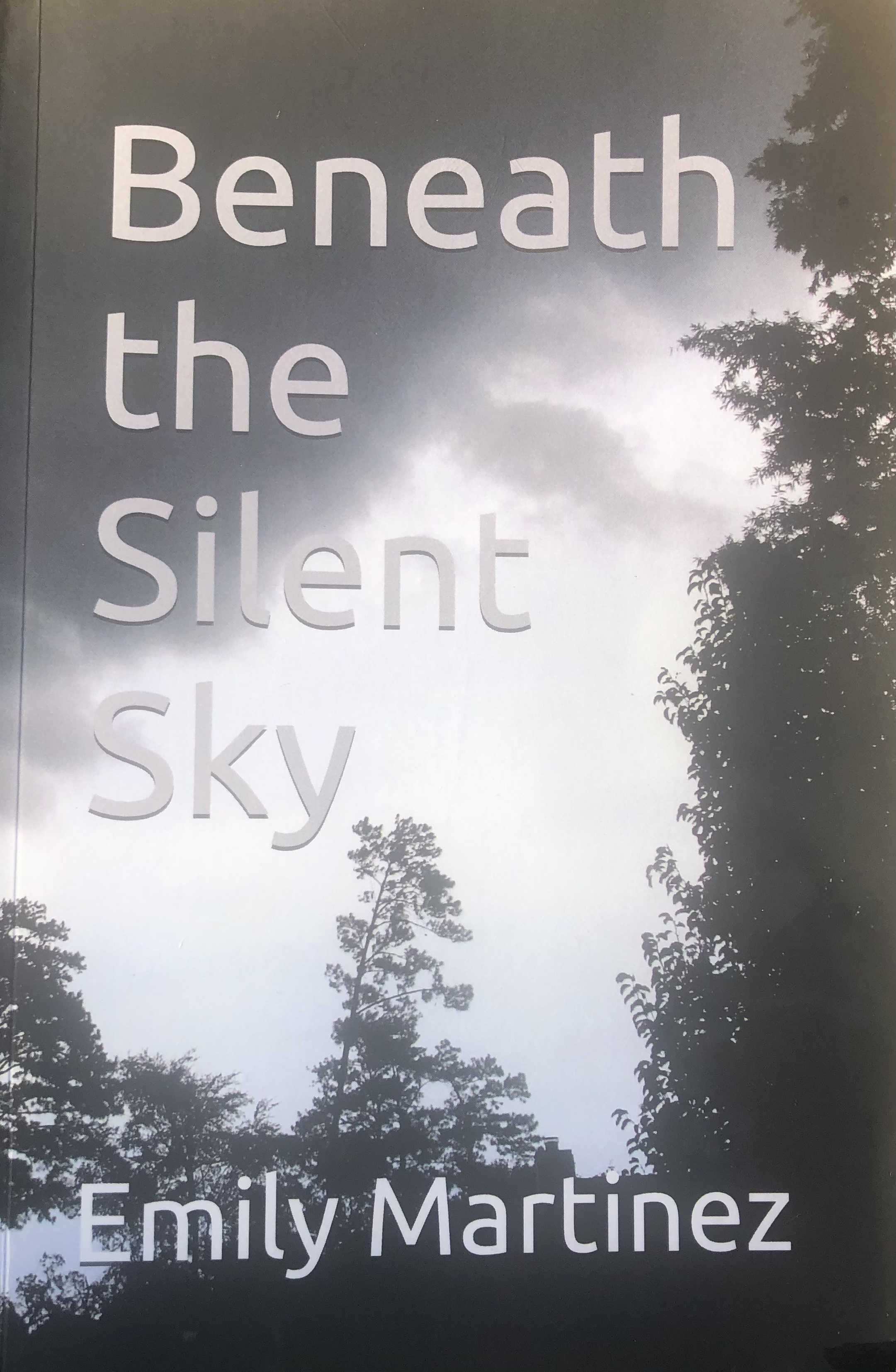 Beneath the Silent Sky (The Jacob Series, #2) by Emily Keyes Martinez ...