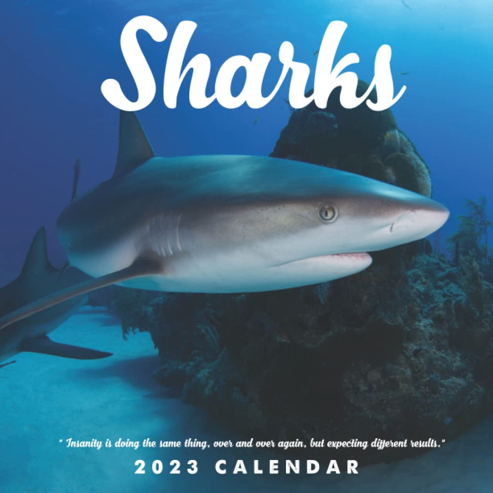 Sharks Calendar: Beautiful 2023 Calendar Gift for Family, Friends and ...
