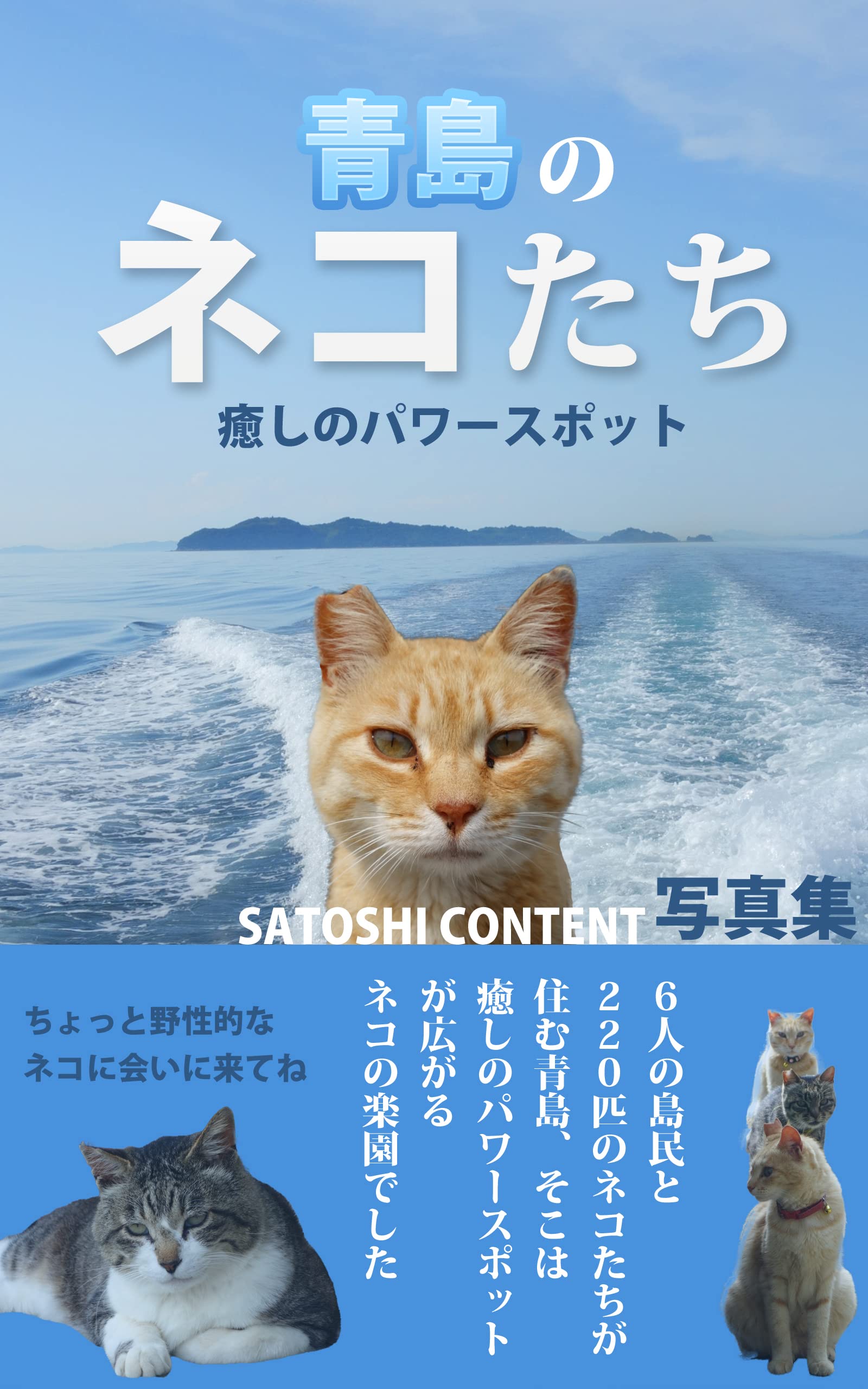 Cats of Aoshima: Healing power spot (SATOSHI CONTENT) by Satoshi Ito ...