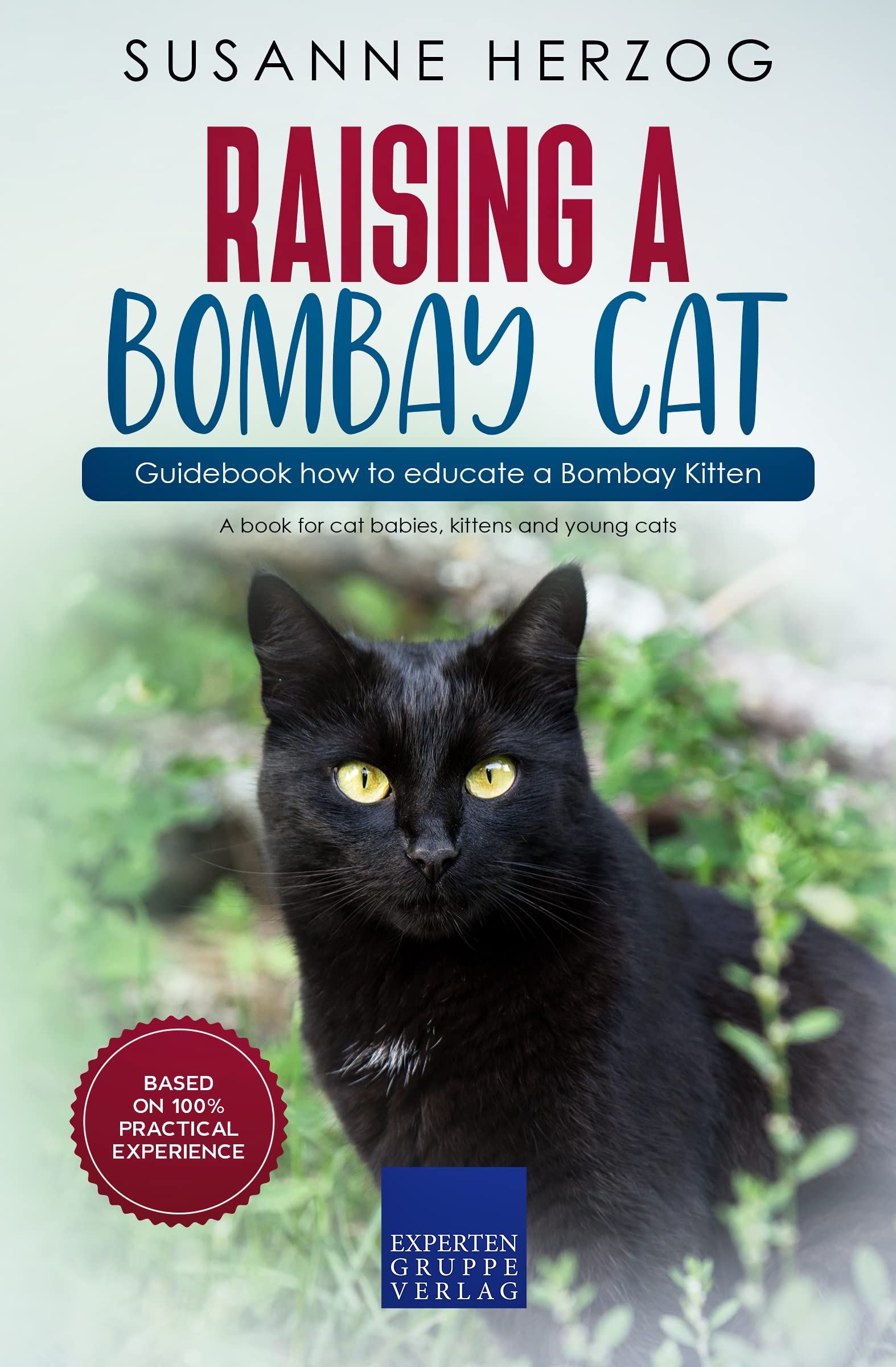 Raising a Bombay Cat – Guidebook how to educate a Bombay Kitten: A book ...