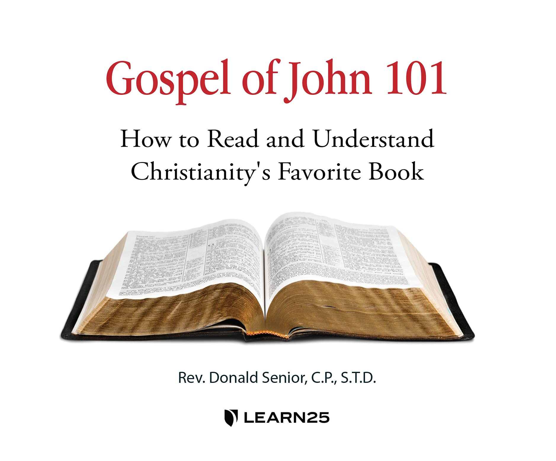 Gospel of John 101: How to Read and Understand Christianity's Favorite ...