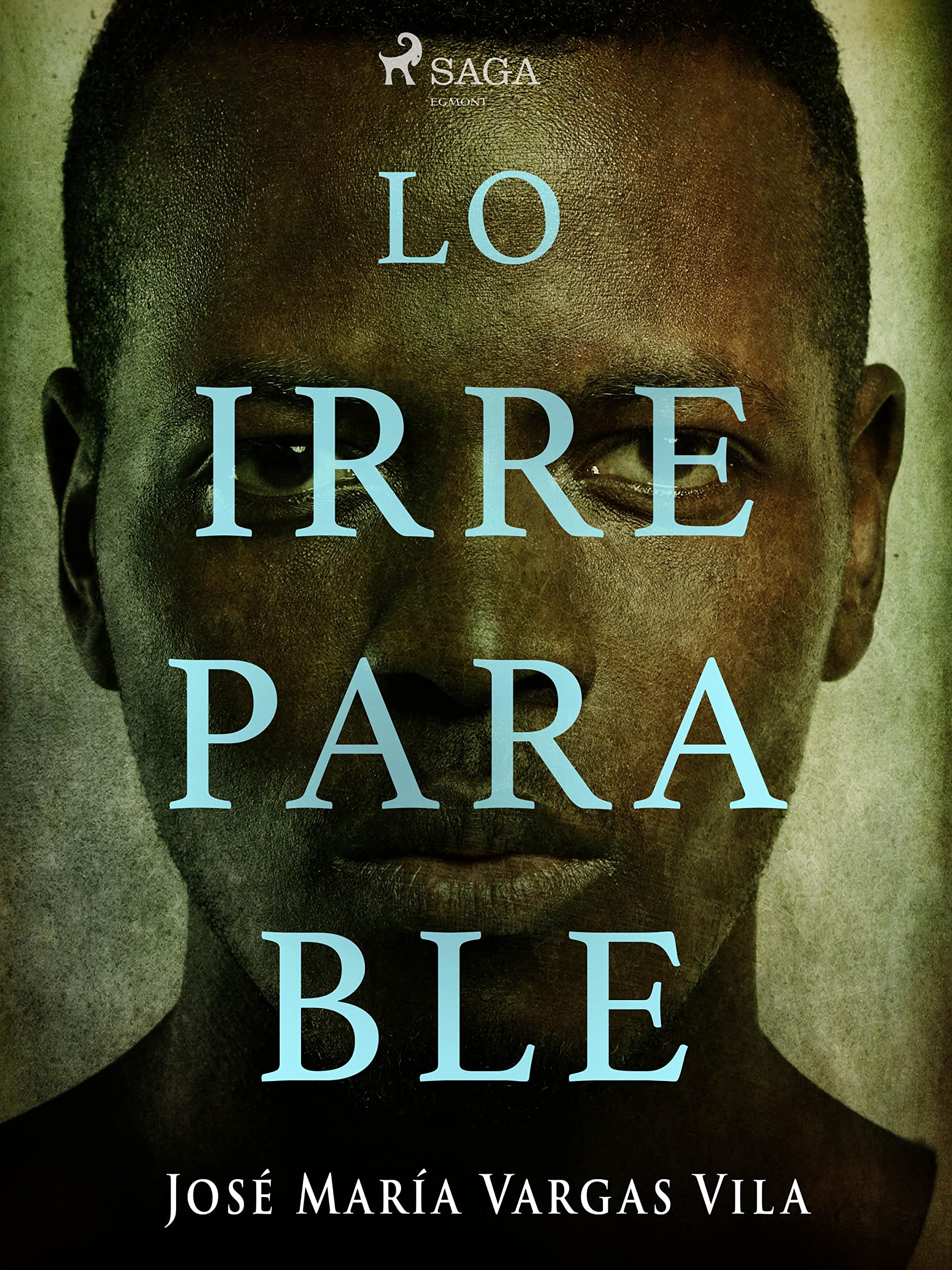 Lo irreparable (Spanish Edition) by José María Vargas Vilas | Goodreads