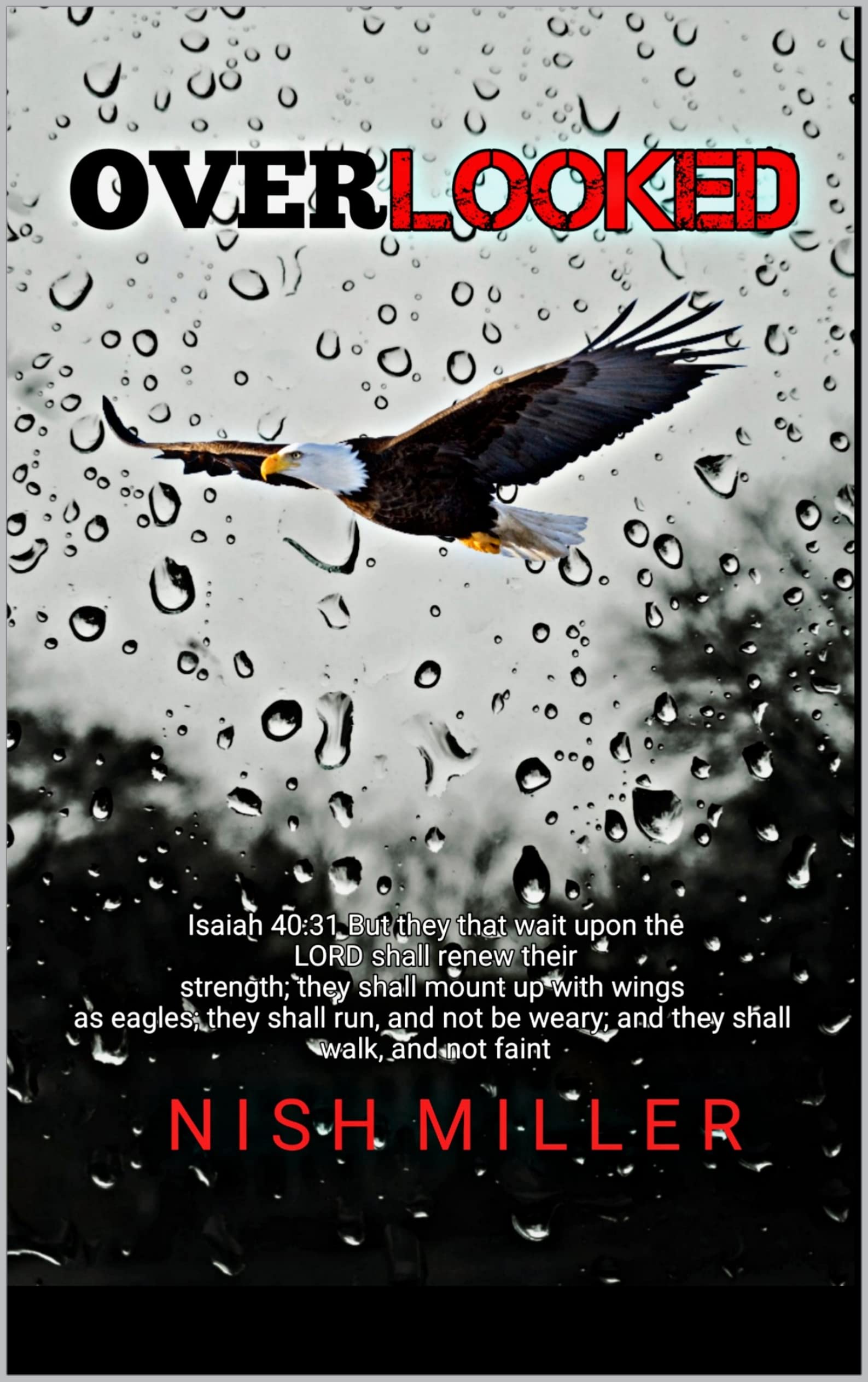 OVERLOOKED by Nish Miller | Goodreads
