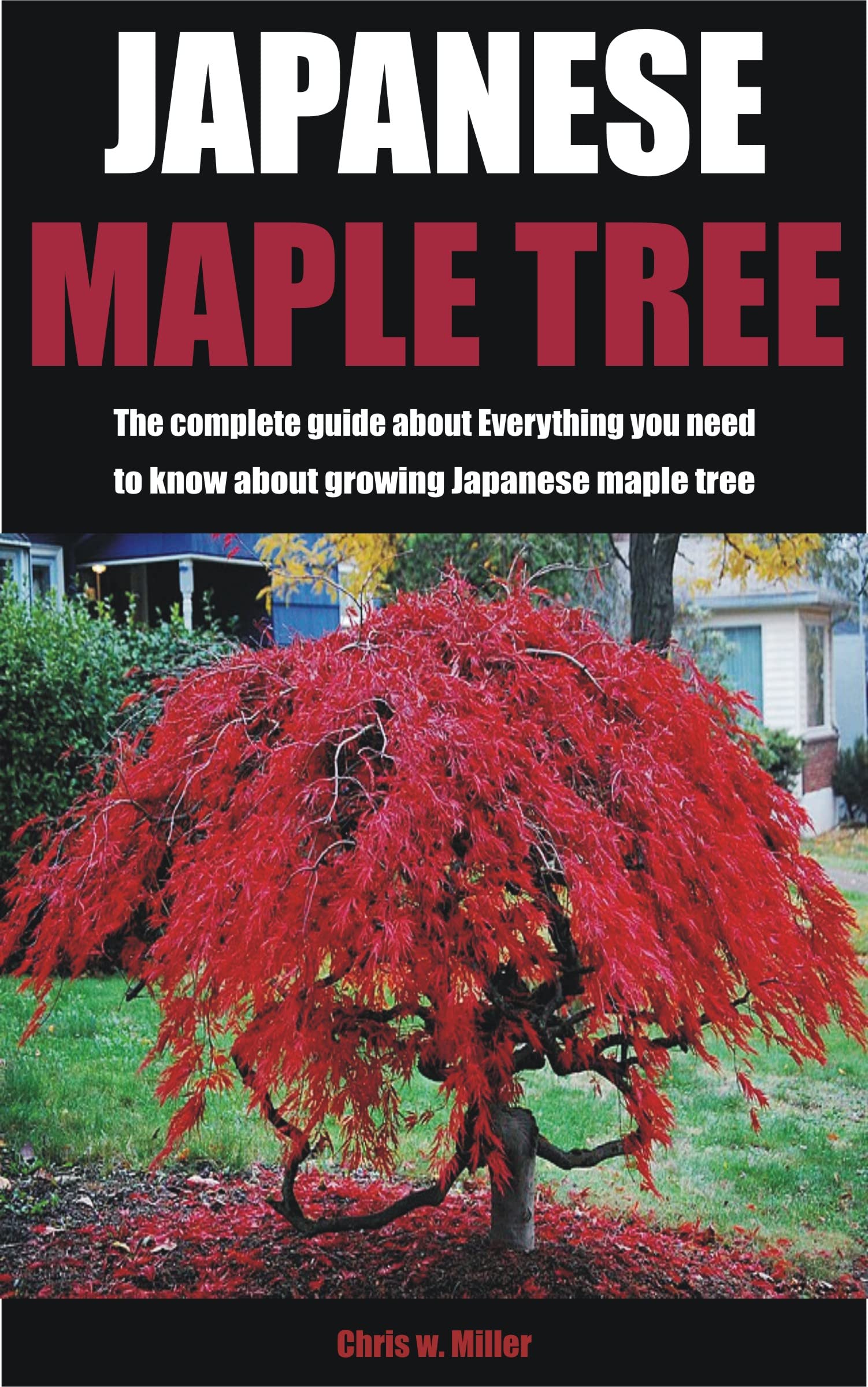 JAPANESE MAPLE TREE: The complete guide about Everything you need to ...