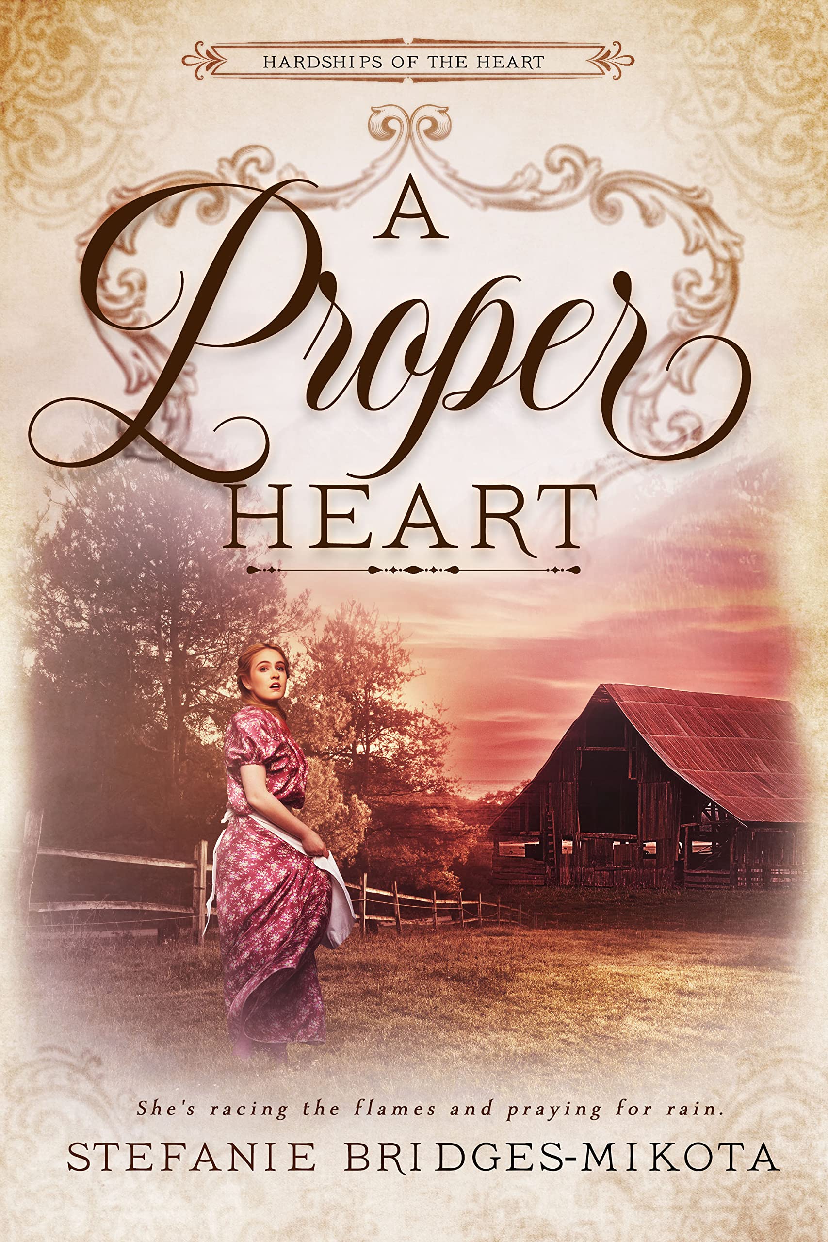 A Proper Heart by Stefanie Bridges-Mikota | Goodreads