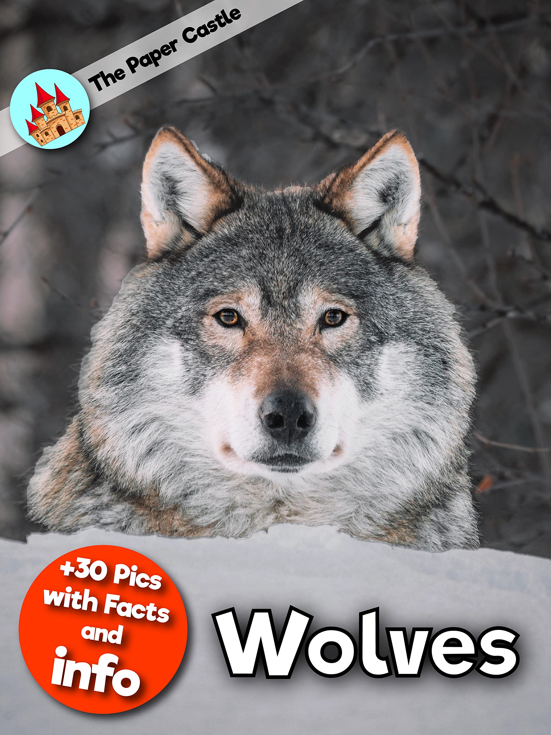 Facts About Wolves: Fun Facts For Kids With High-Quality Pictures by ...