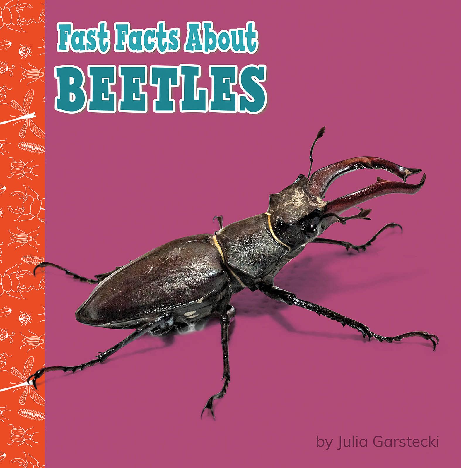 Fast Facts About Beetles (Pebble Emerge) by Julia Garstecki-Derkovitz ...