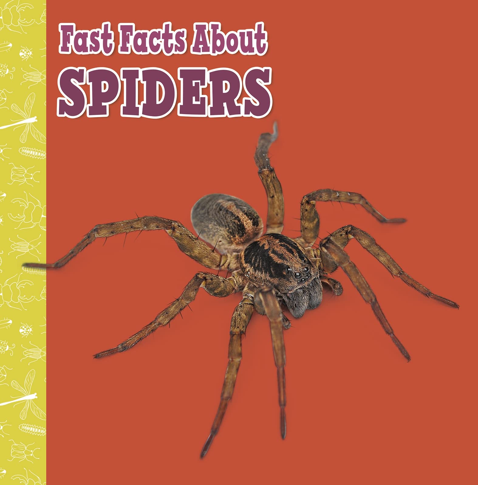 Fast Facts About Spiders by Julia Garstecki | Goodreads