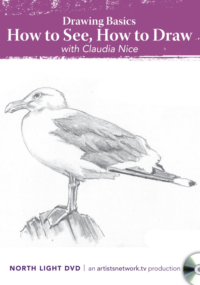 Drawing Basics, How to See, How to Draw with Claudia Nice by Claudia ...
