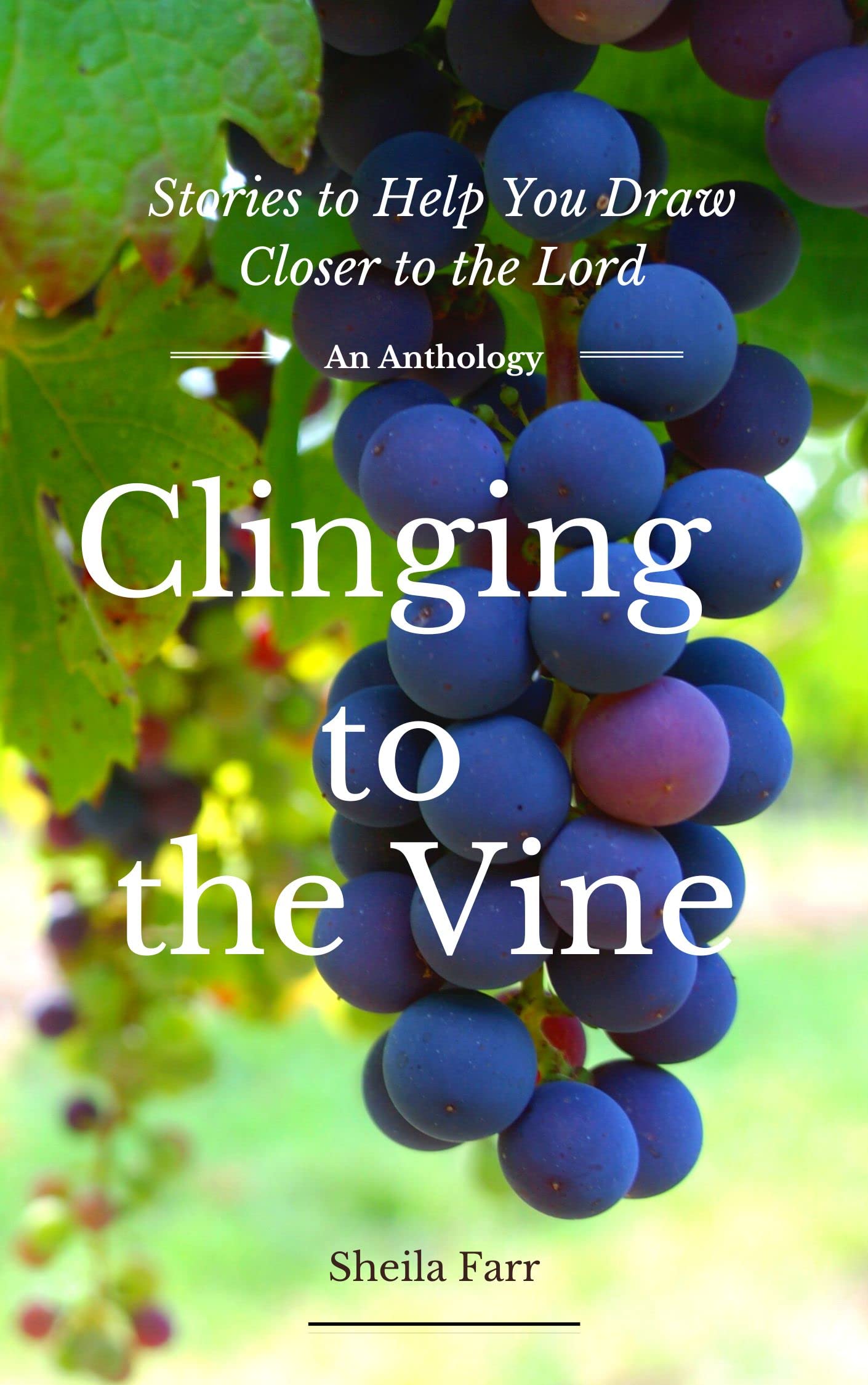 Clinging to the Vine: Stories to Help You Draw Closer to the Lord by ...