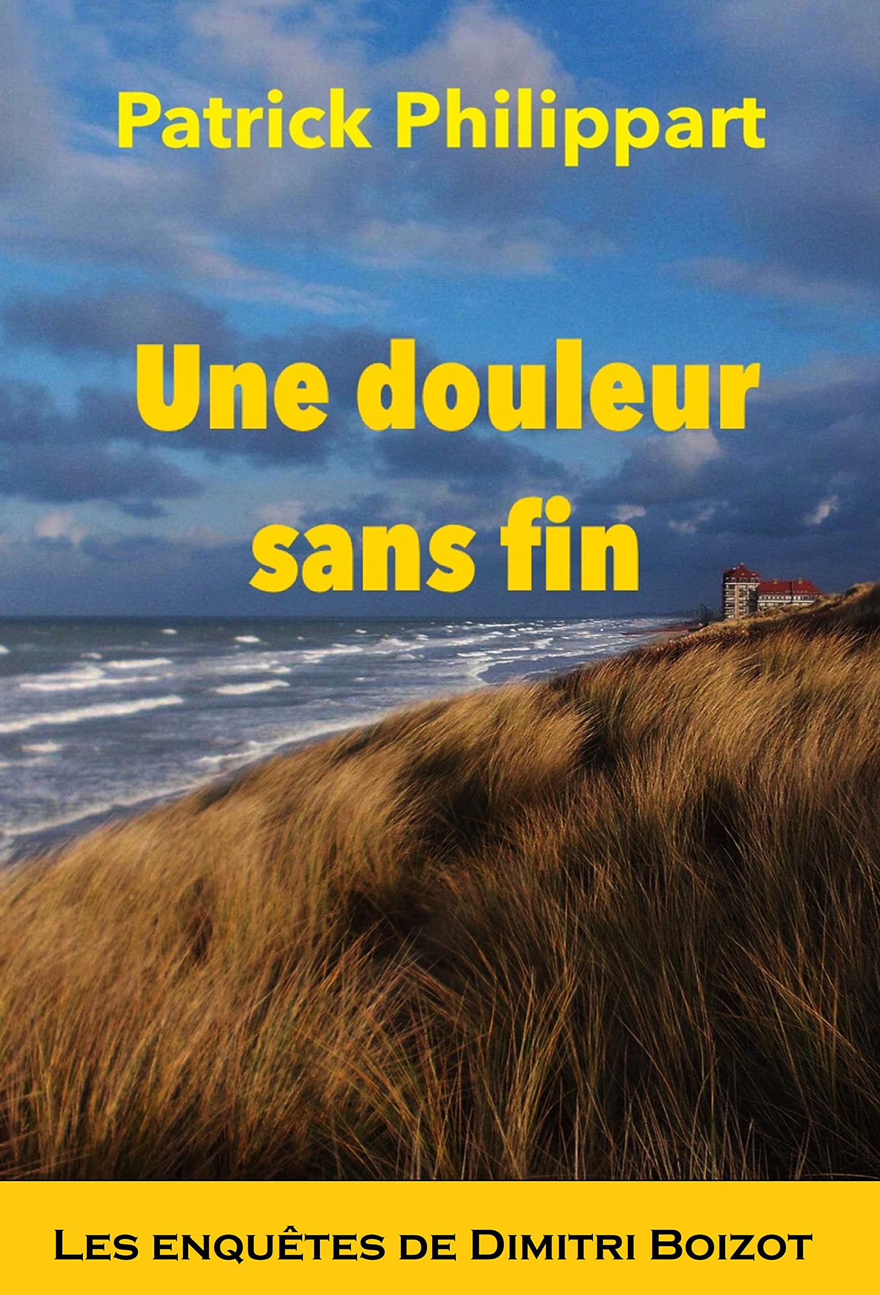 Une douleur sans fin (Les enquêtes de Dimitri Boizot) by Patrick ...