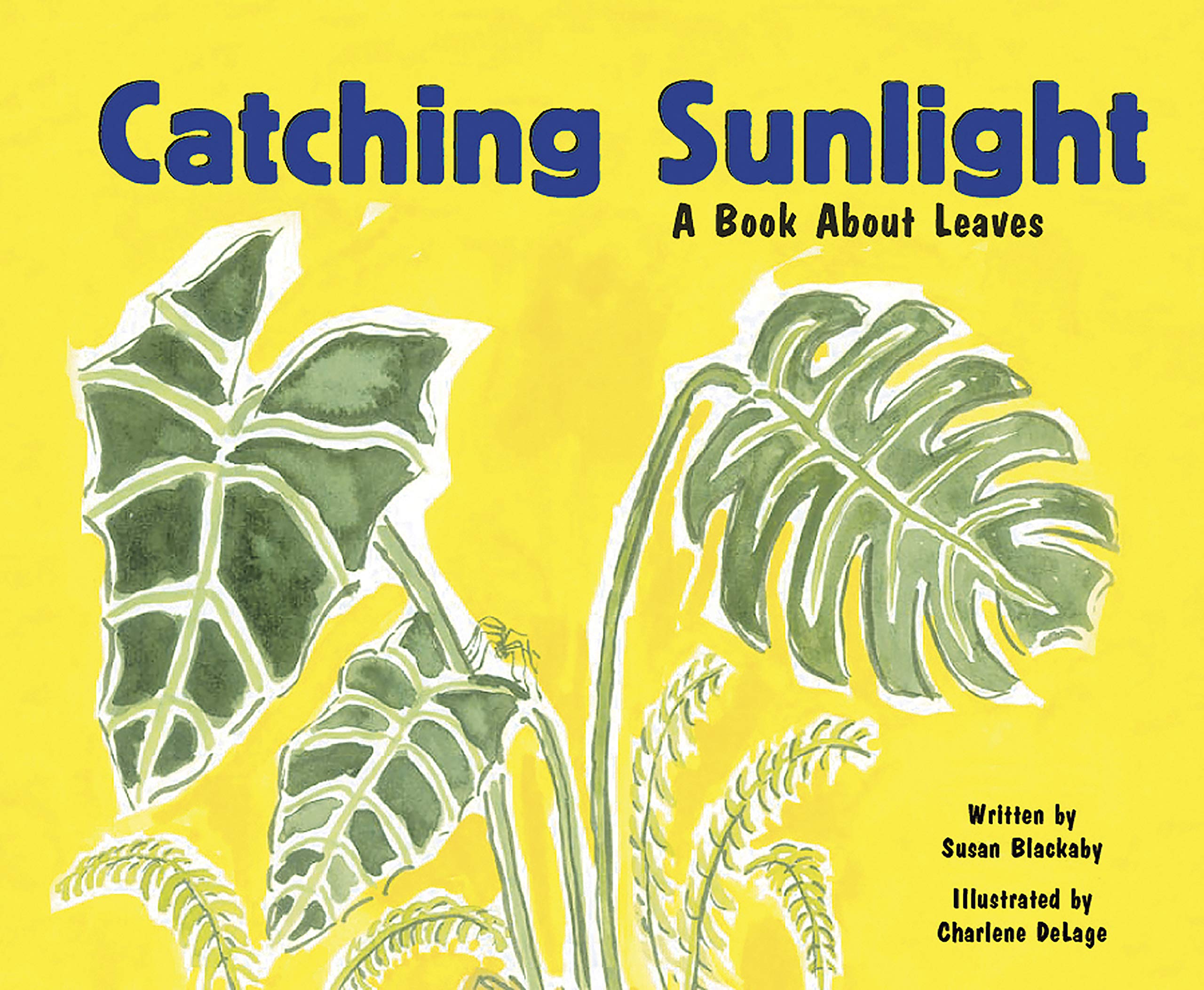 Catching Sunlight (Growing Things) by Susan Blackaby | Goodreads