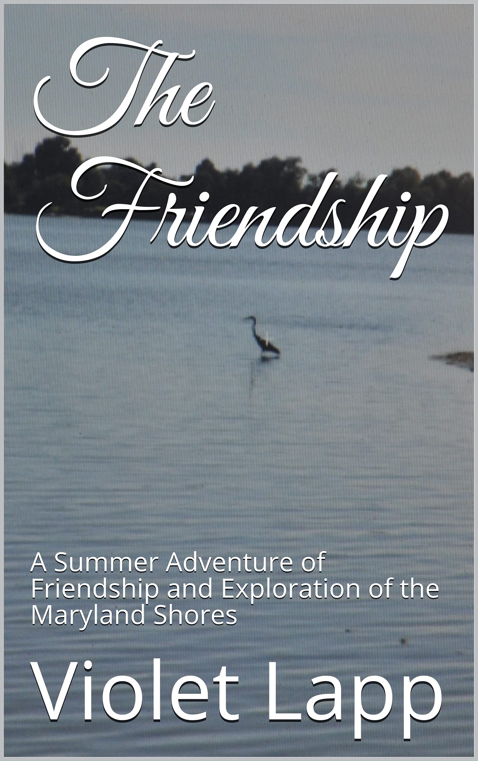 The Friendship: A Summer Adventure of Friendship and Exploration of the ...
