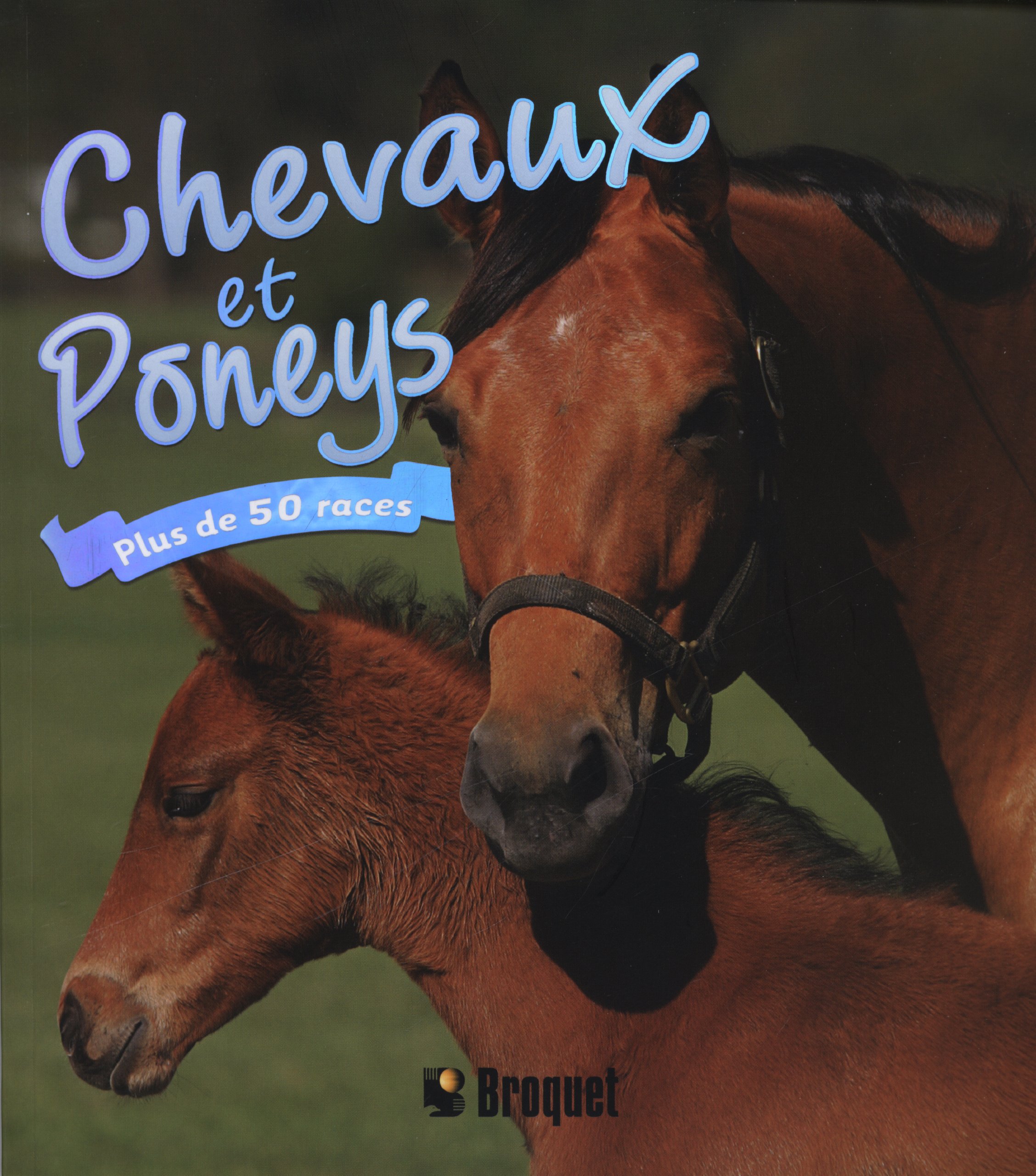 Chevaux et poneys by Nicola Jane Swinney | Goodreads