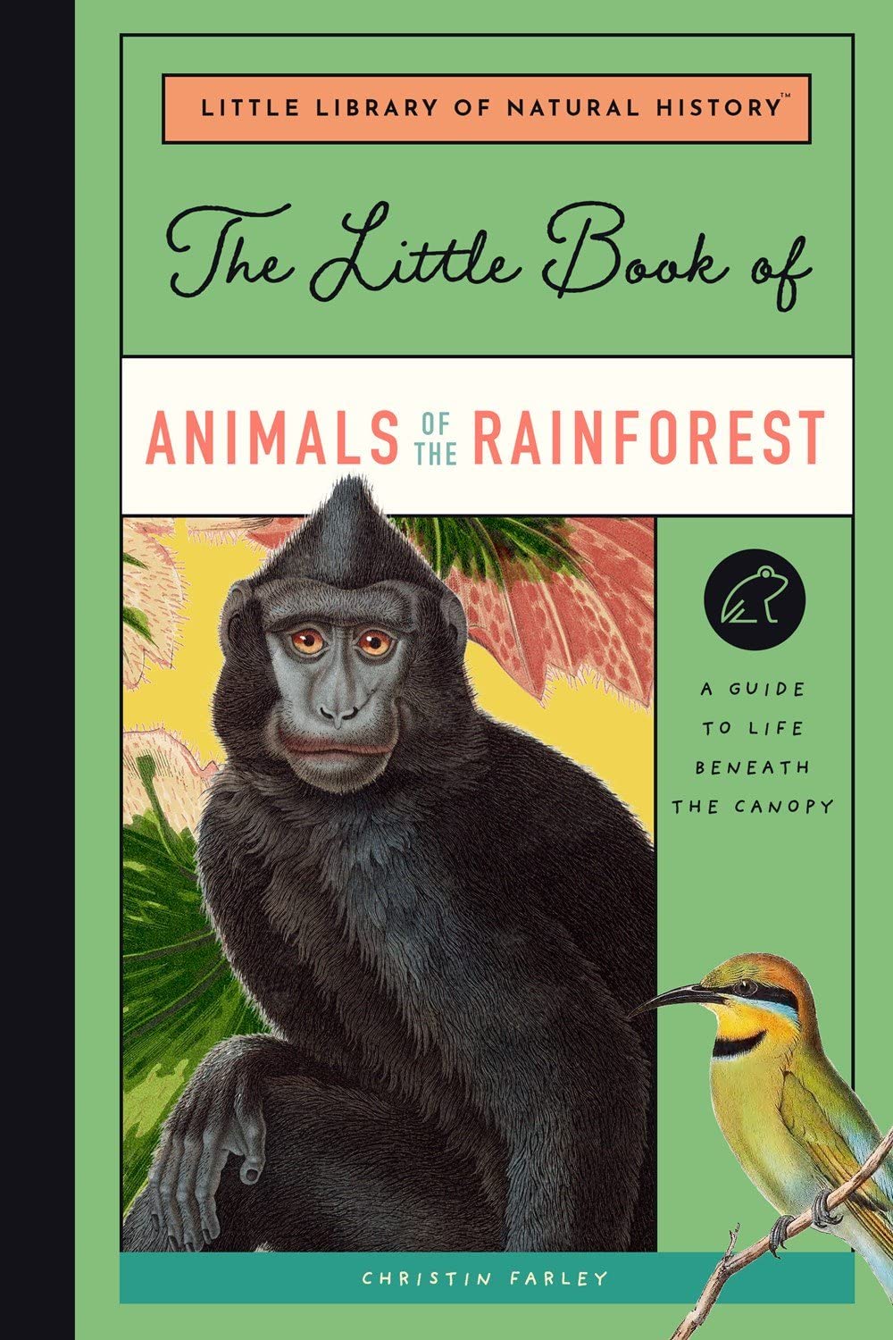 The Little Book of Animals of the Rainforest: A Guide to Life in Earth ...