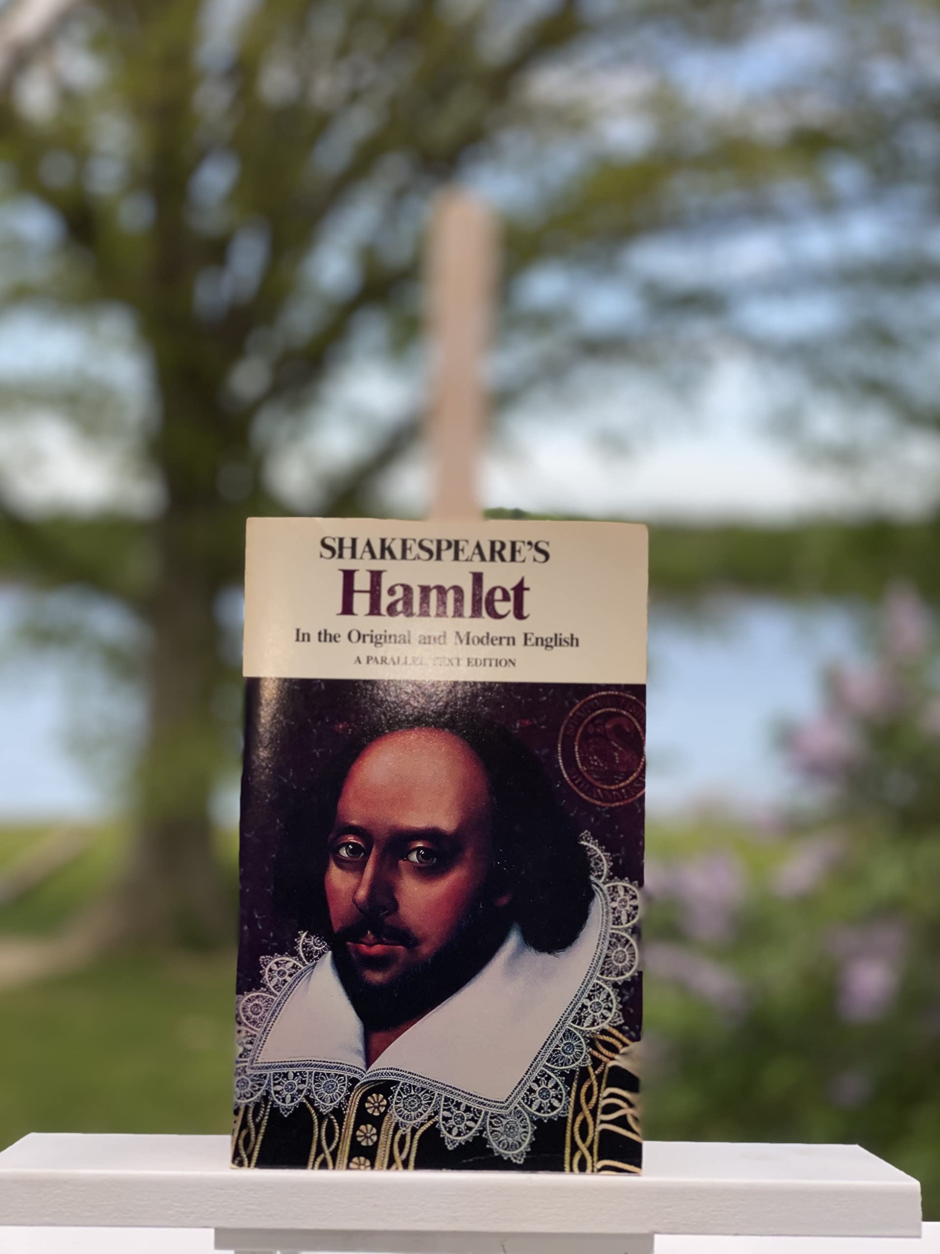 Hamlet in the Original and Modern English by William Shakespeare ...