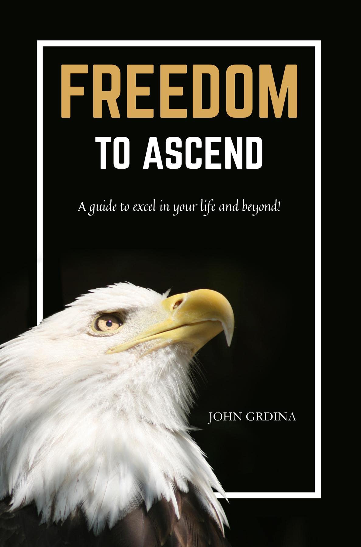 Freedom To Ascend by John Grdina | Goodreads