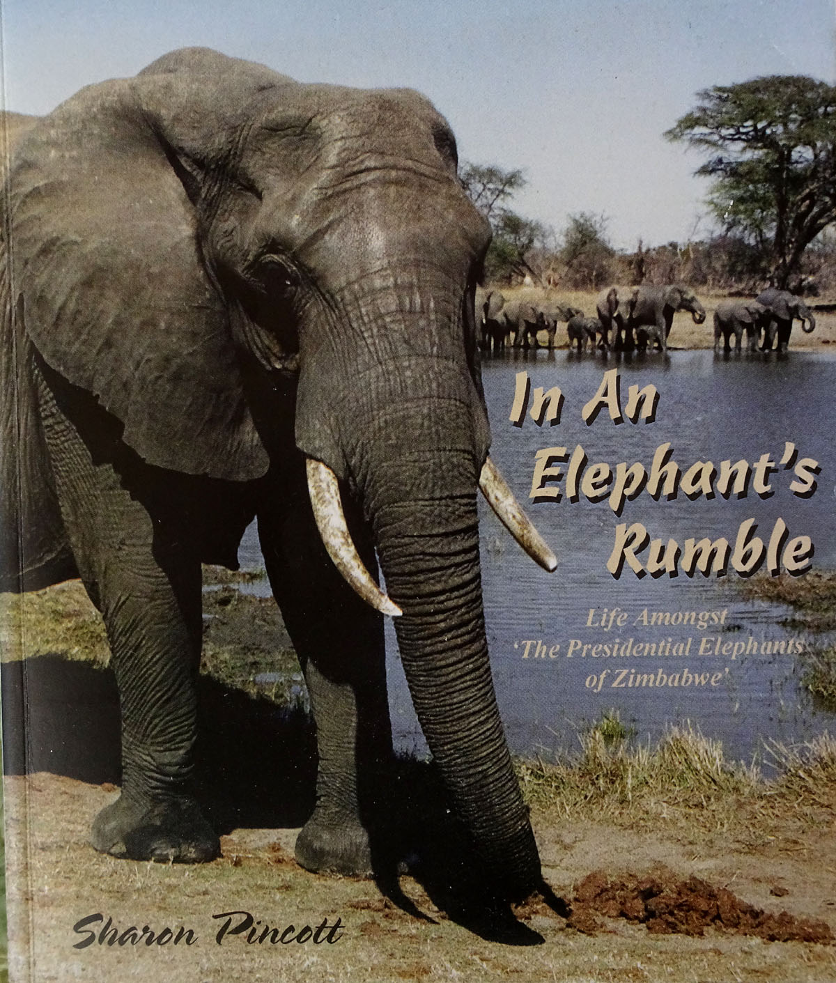 In an Elephant's Rumble: Life Amongst The Presidential Elephants of ...