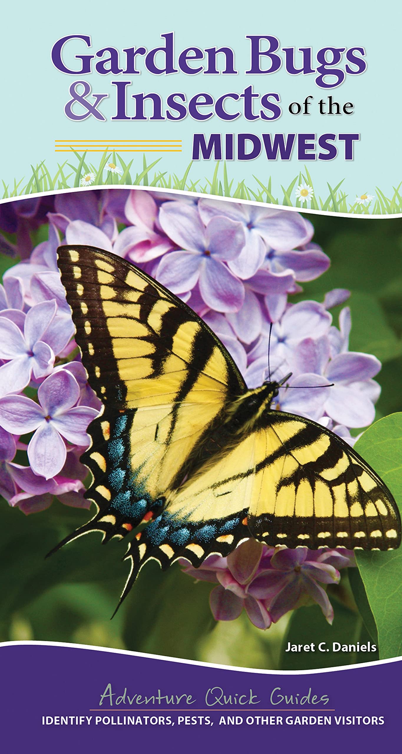 Garden Bugs & Insects of the Midwest: Identify Pollinators, Pests, and ...