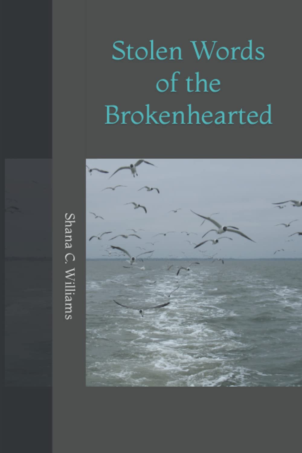 Stolen Words of the Brokenhearted by Shana C. Williams | Goodreads