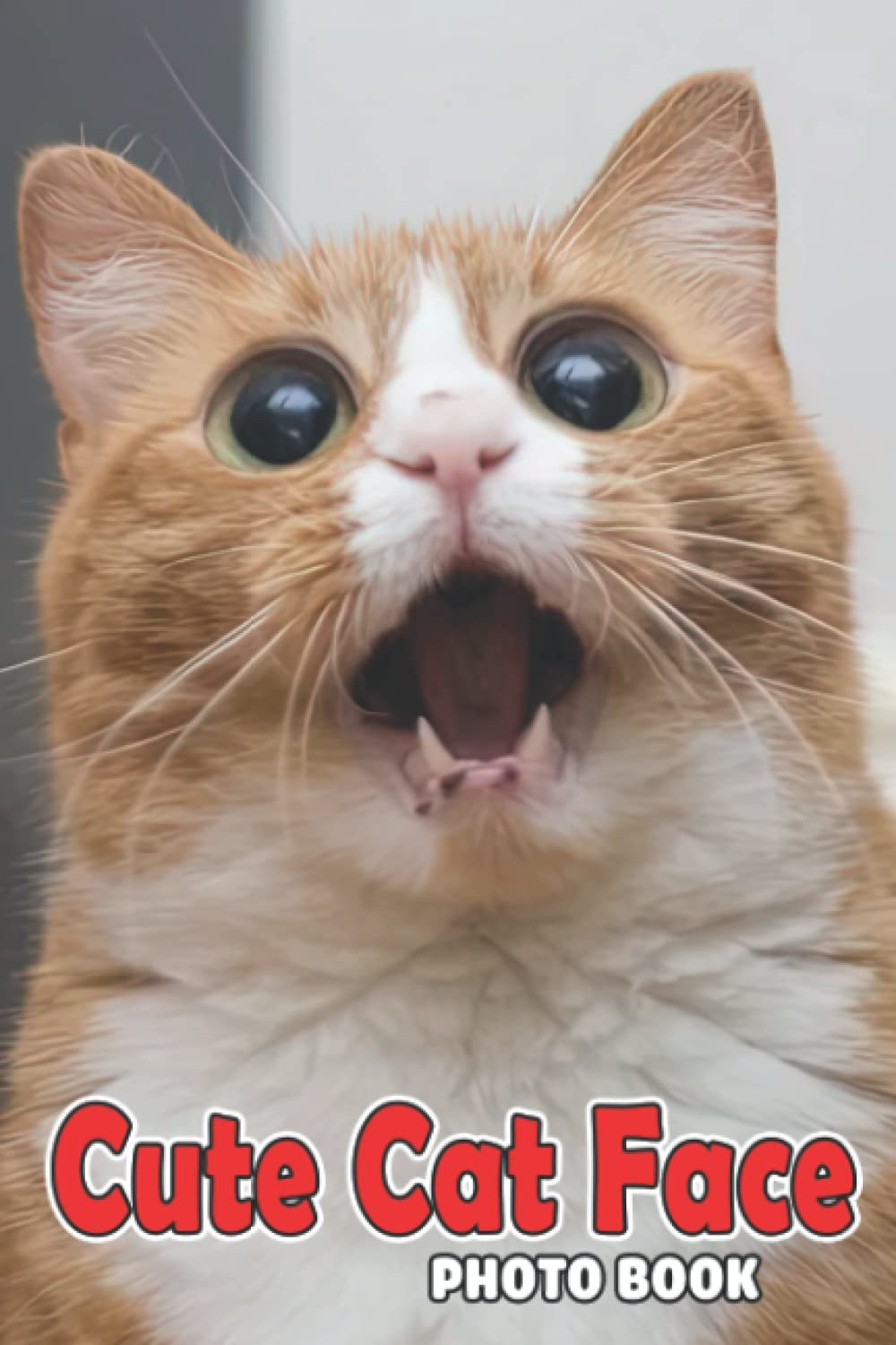 Cute Cat Face Photo Book: Lovely Colorful Images Featuring Kawaii ...