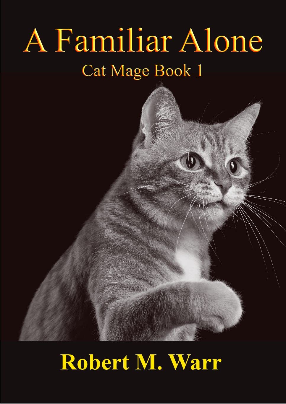 A Familiar Alone (Cat Mage Book 1) by Robert Warr | Goodreads
