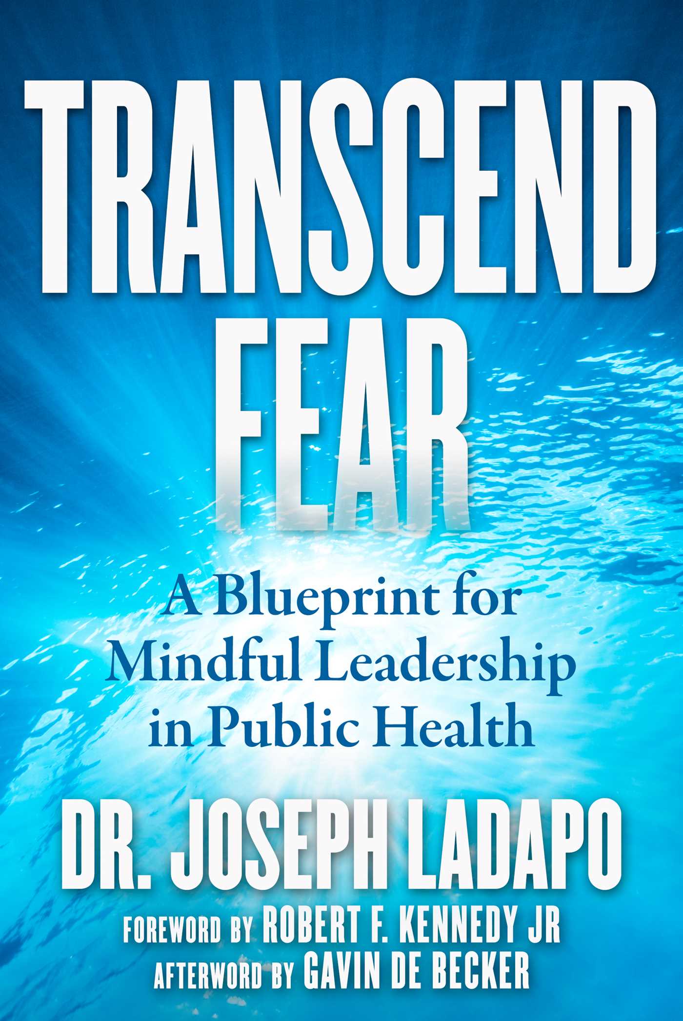 Transcend Fear: A Blueprint for Mindful Leadership in Public Health by ...