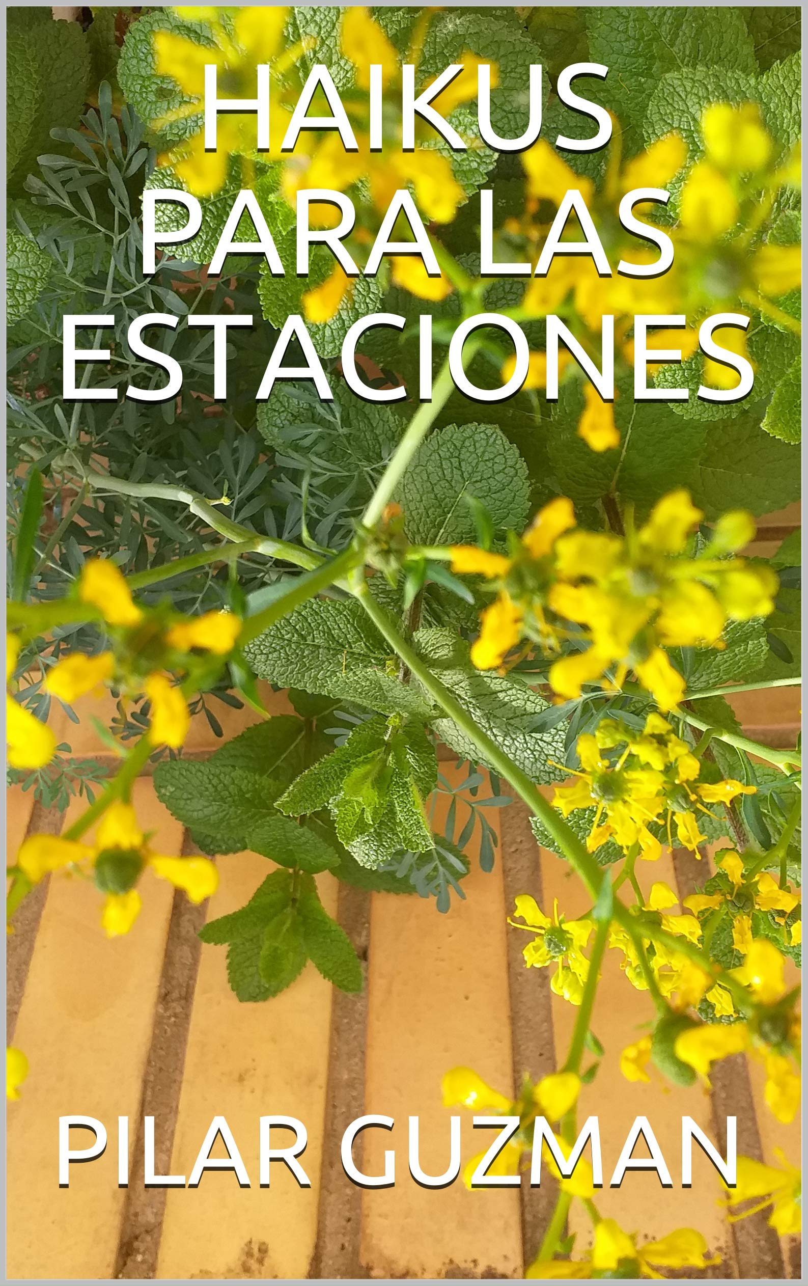 HAIKUS PARA LAS ESTACIONES (Spanish Edition) by Pilar Guzmán | Goodreads